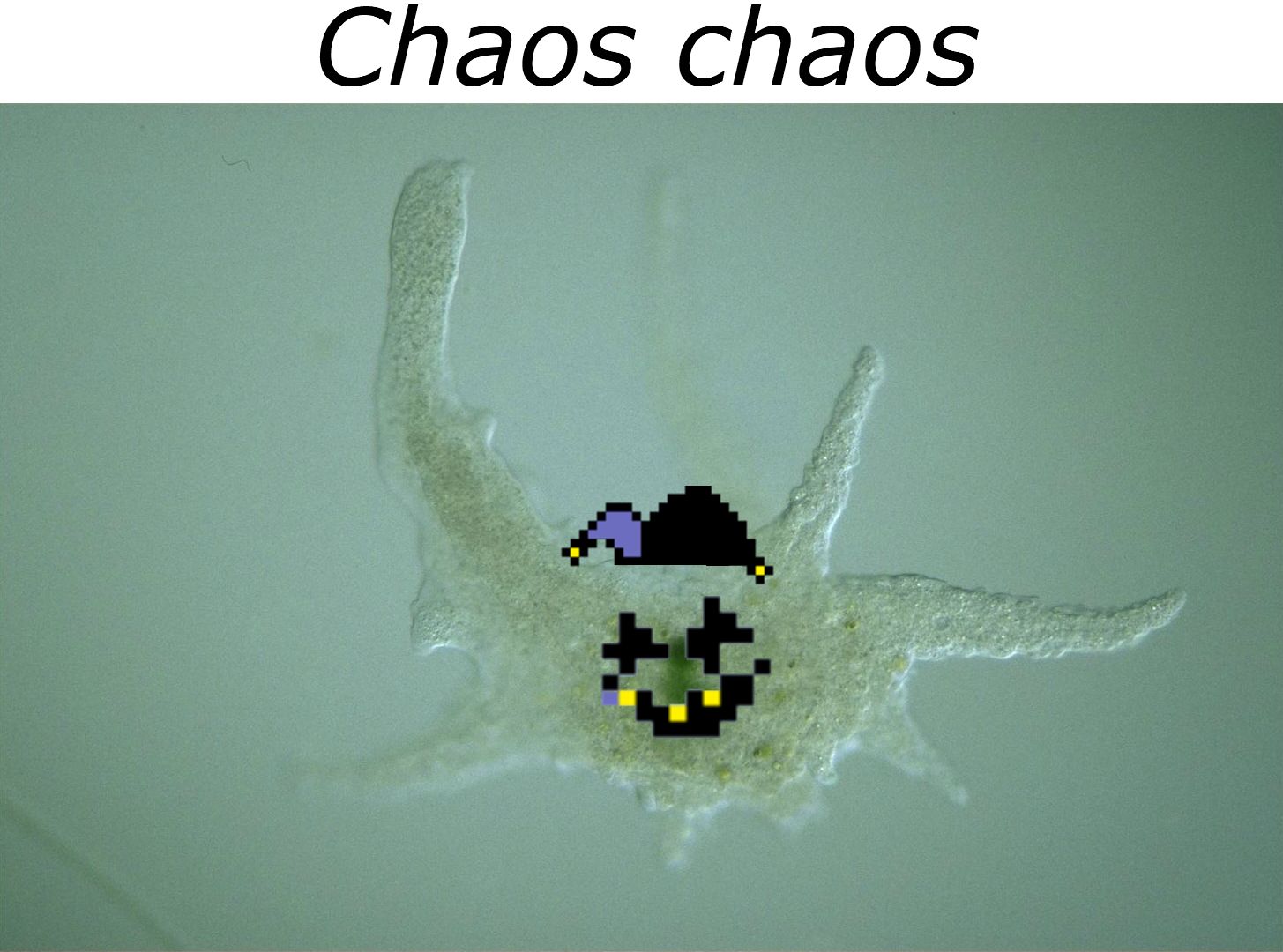 Metamorphosis! | Scrolller