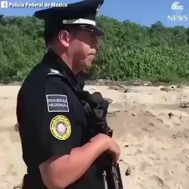 Mexican federal police officer standing guard over a known breeding ground for endangered sea ...