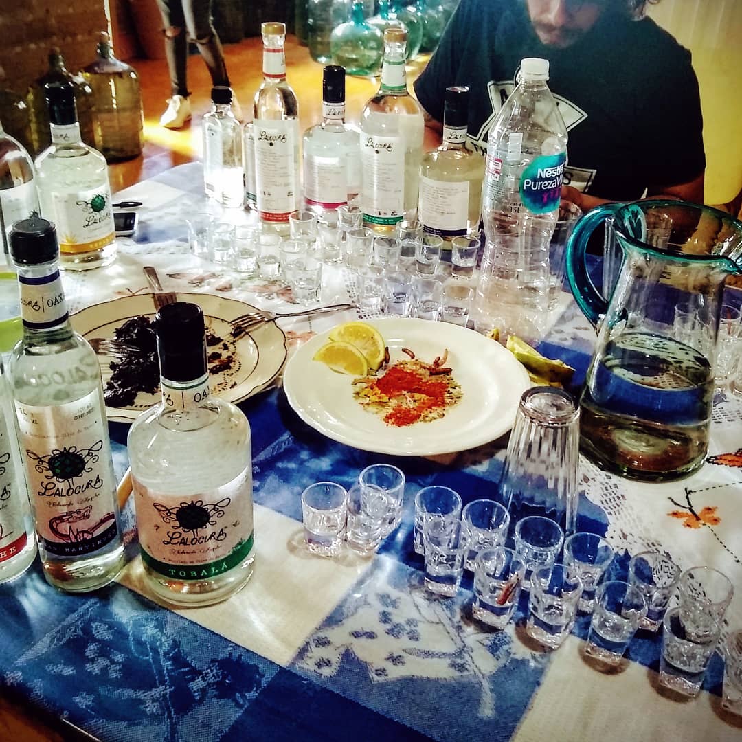 Mezcal tasting at Lalo's house (Palenque Lalocura, Santa Catarina Minas, Oaxaca) | Scrolller