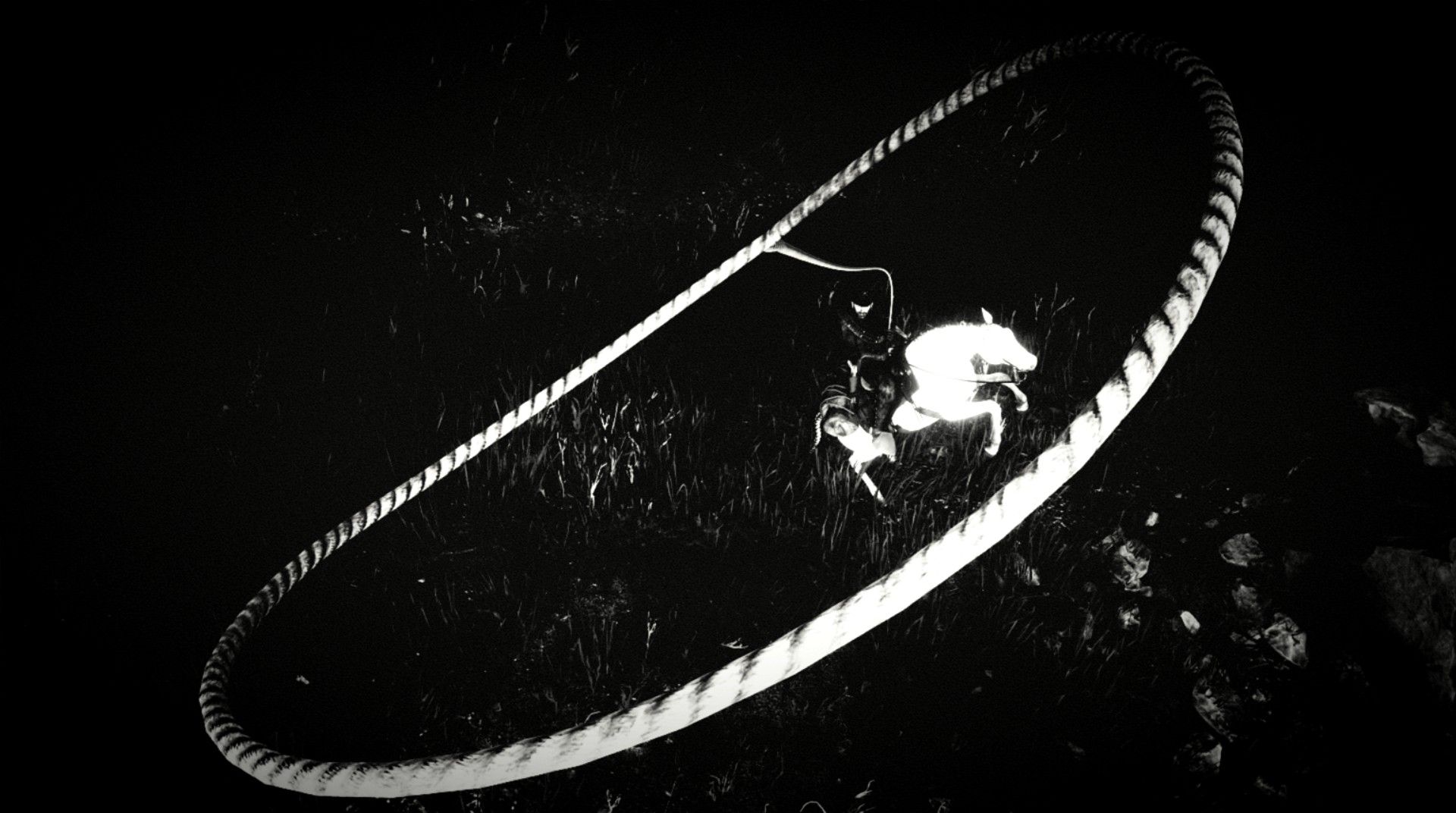 Midnight Glow | Scrolller