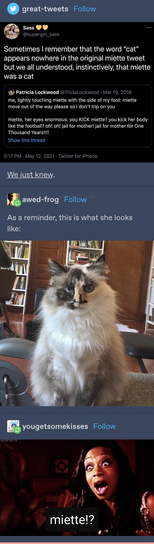 Miette Herself | Scrolller