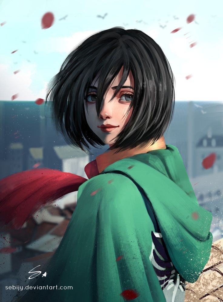 Mikasa Fanart | Scrolller