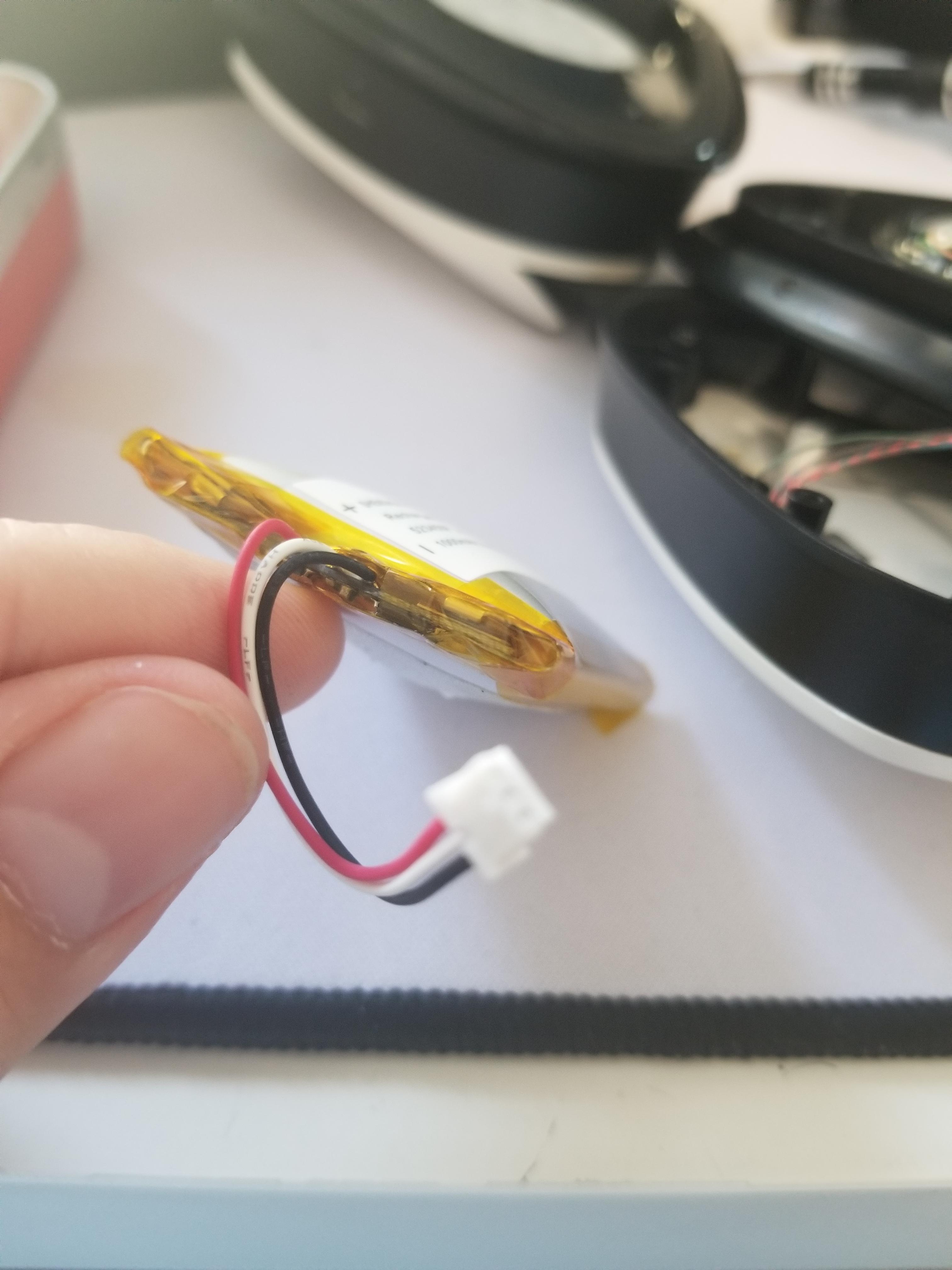 Mild Bois sleep next to your ear in Corsiar Wireless headset. | Scrolller