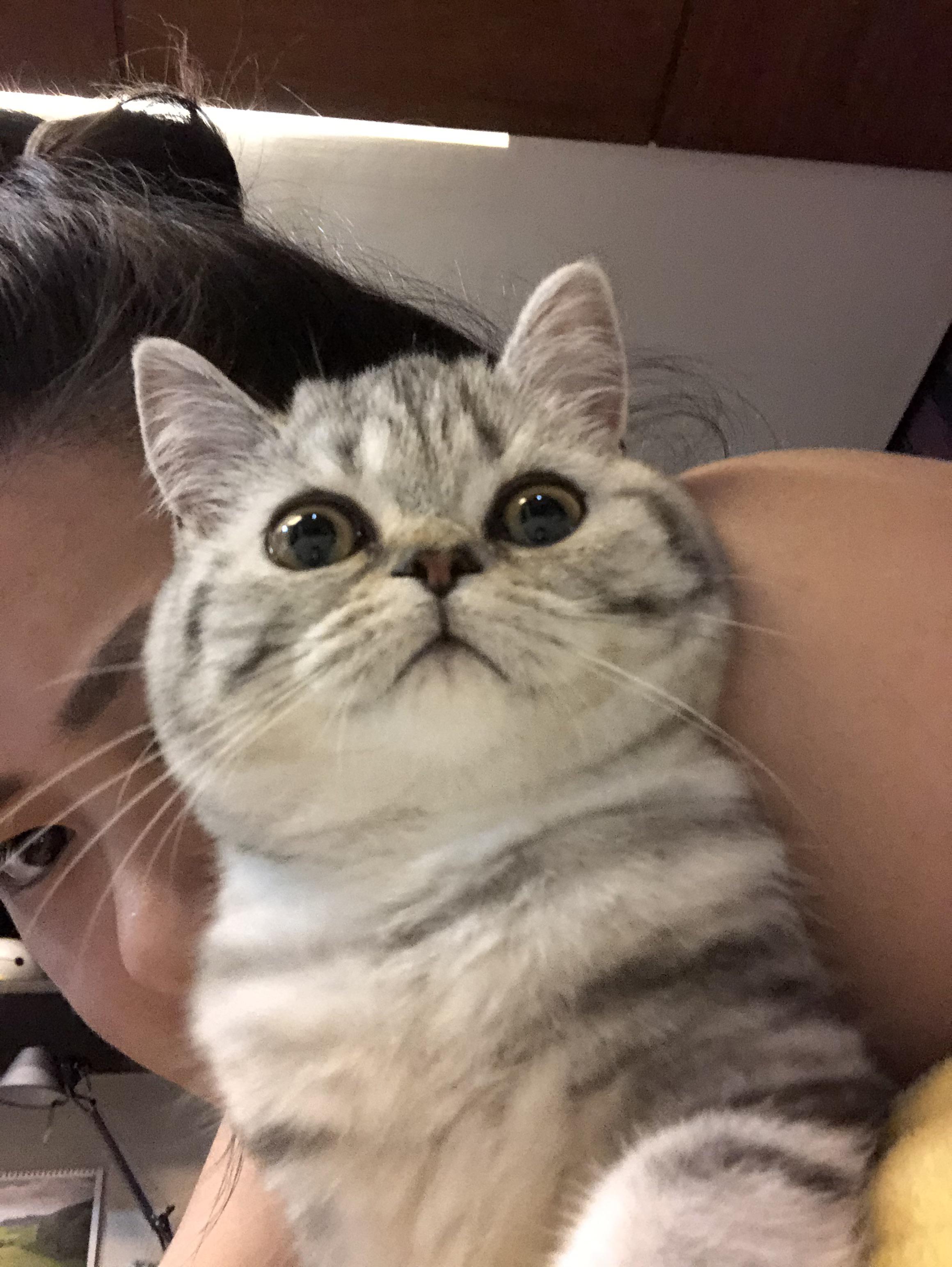 Mildly startled at how cute I am | Scrolller