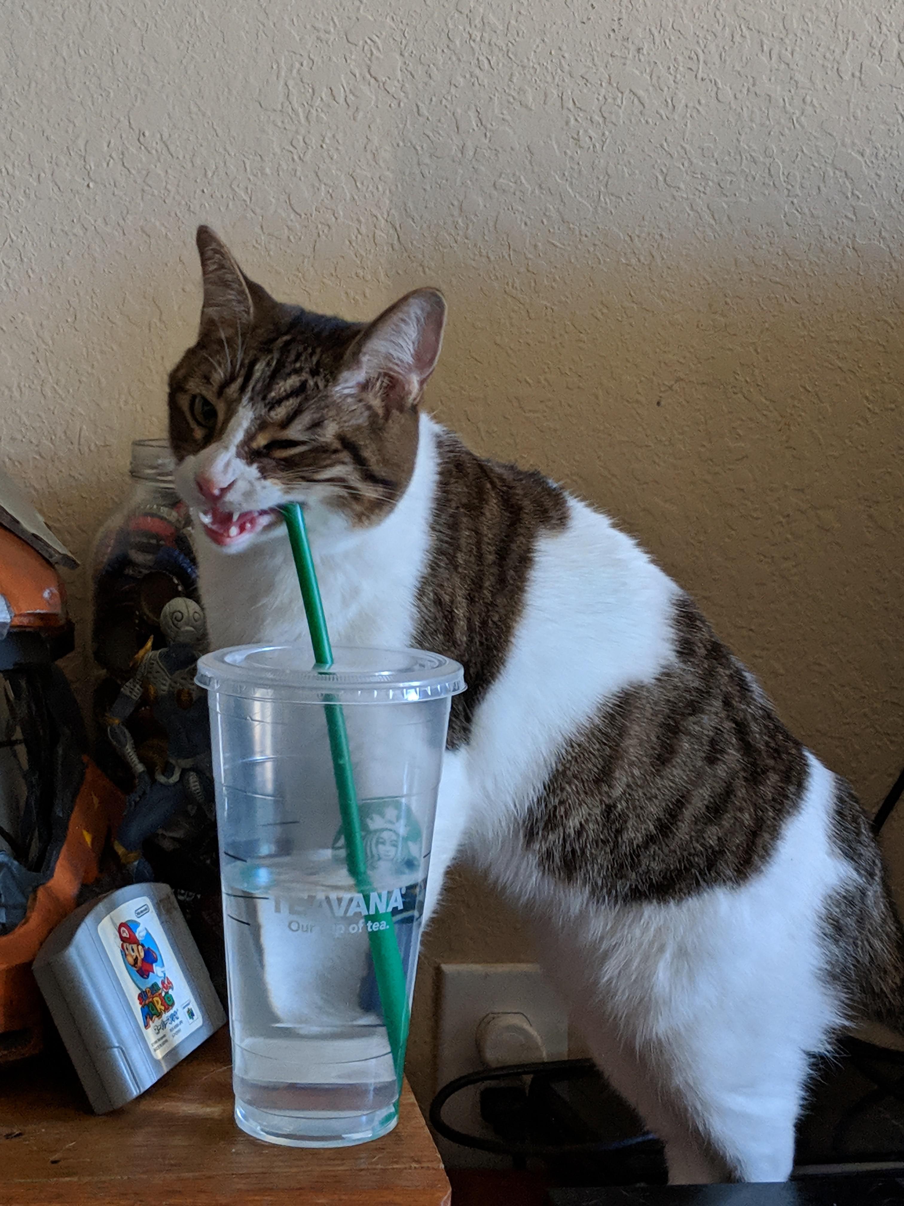 Milly taking a sip | Scrolller