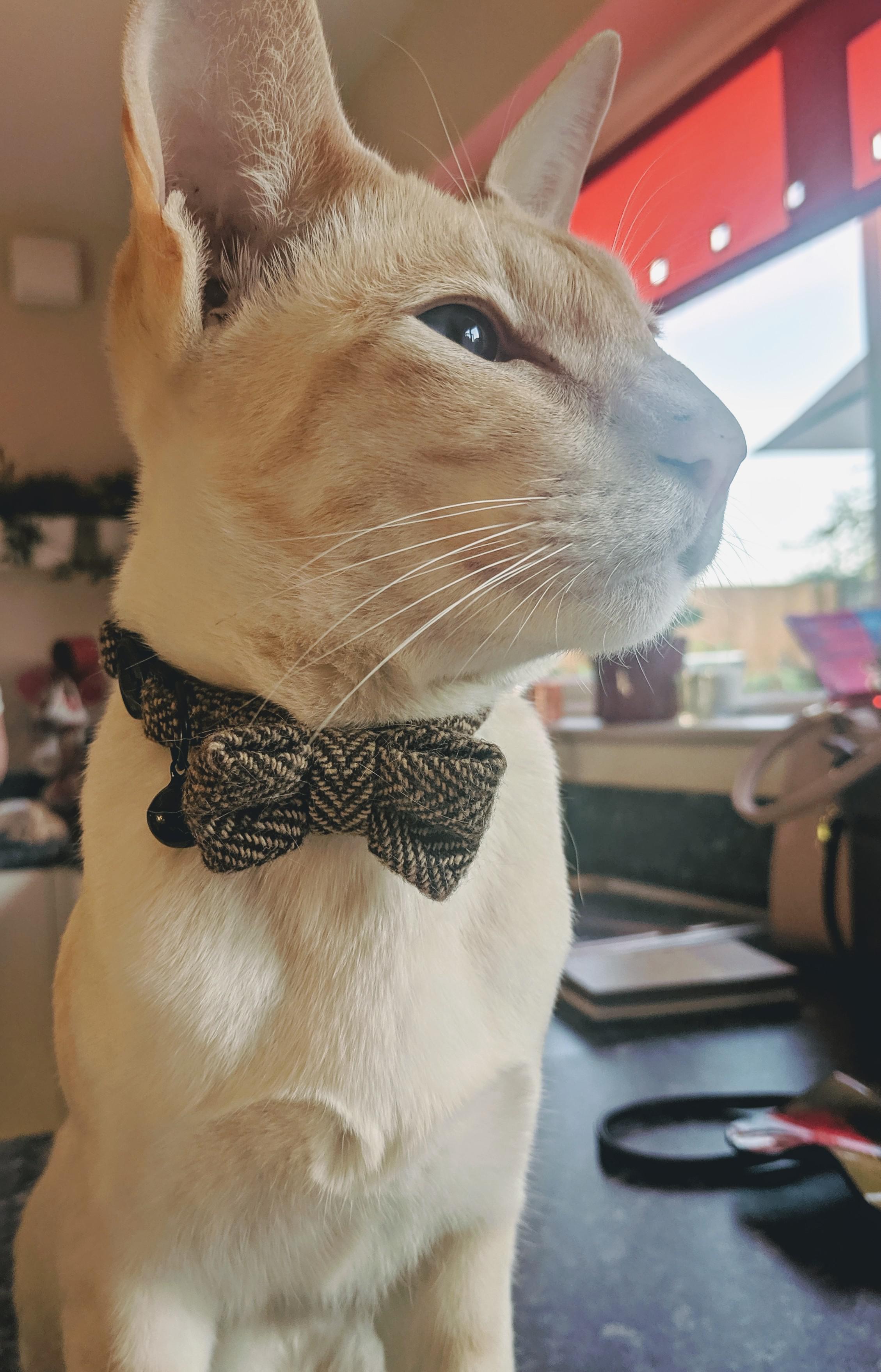 Milton looking sharp as always. | Scrolller