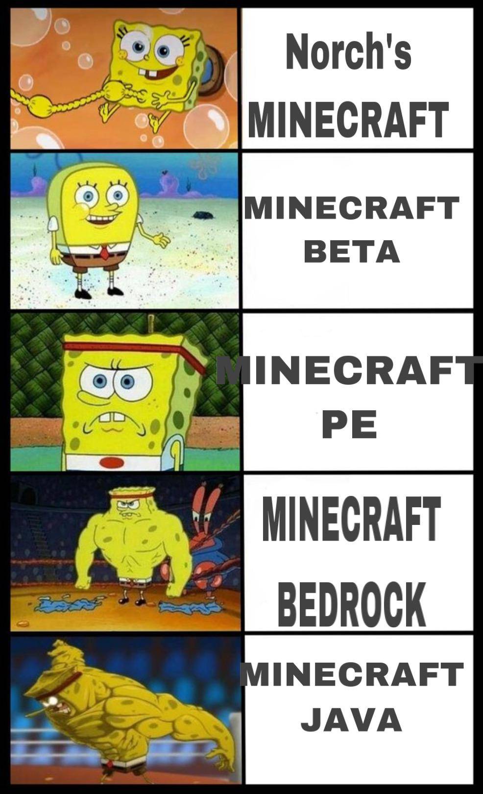 minecraft evolution | Scrolller