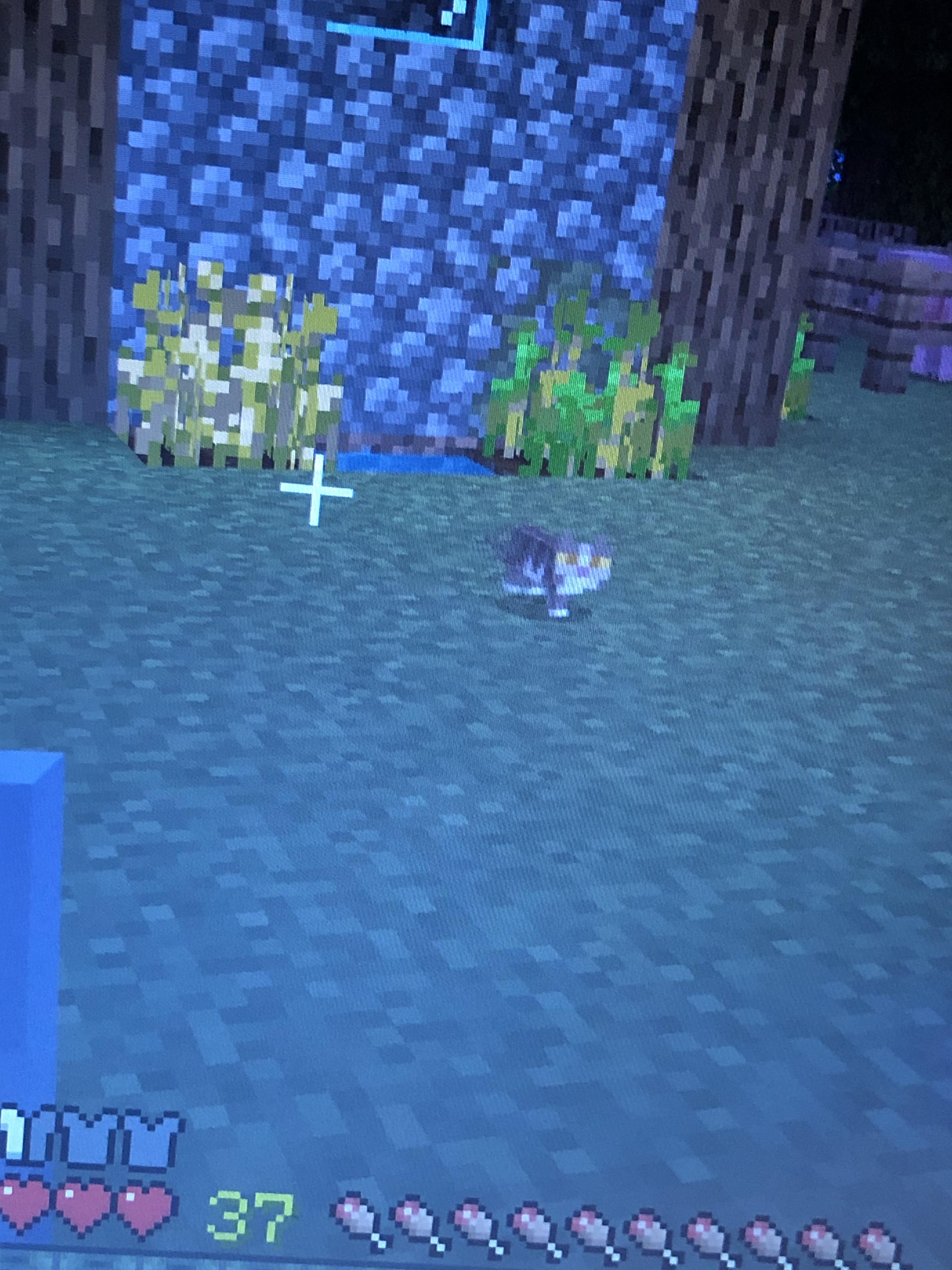 MINECRAFT OTTO!! | Scrolller