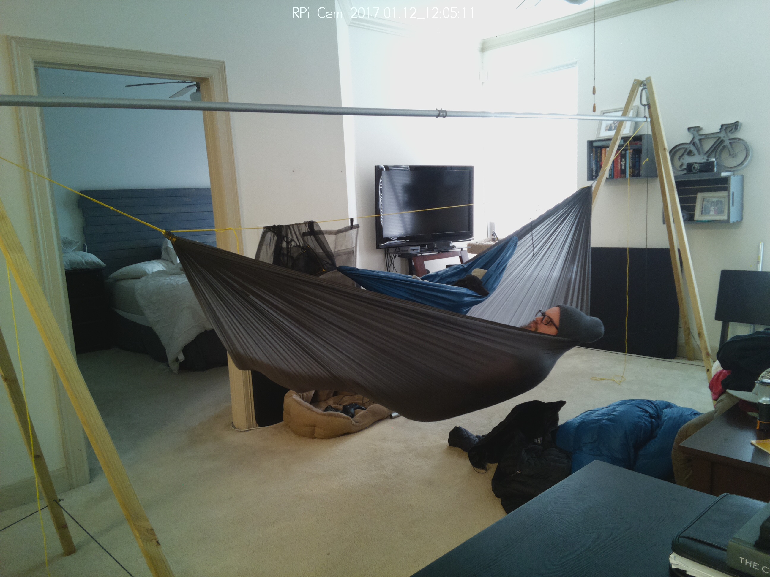 Mini Hammock For The Puppy | Scrolller