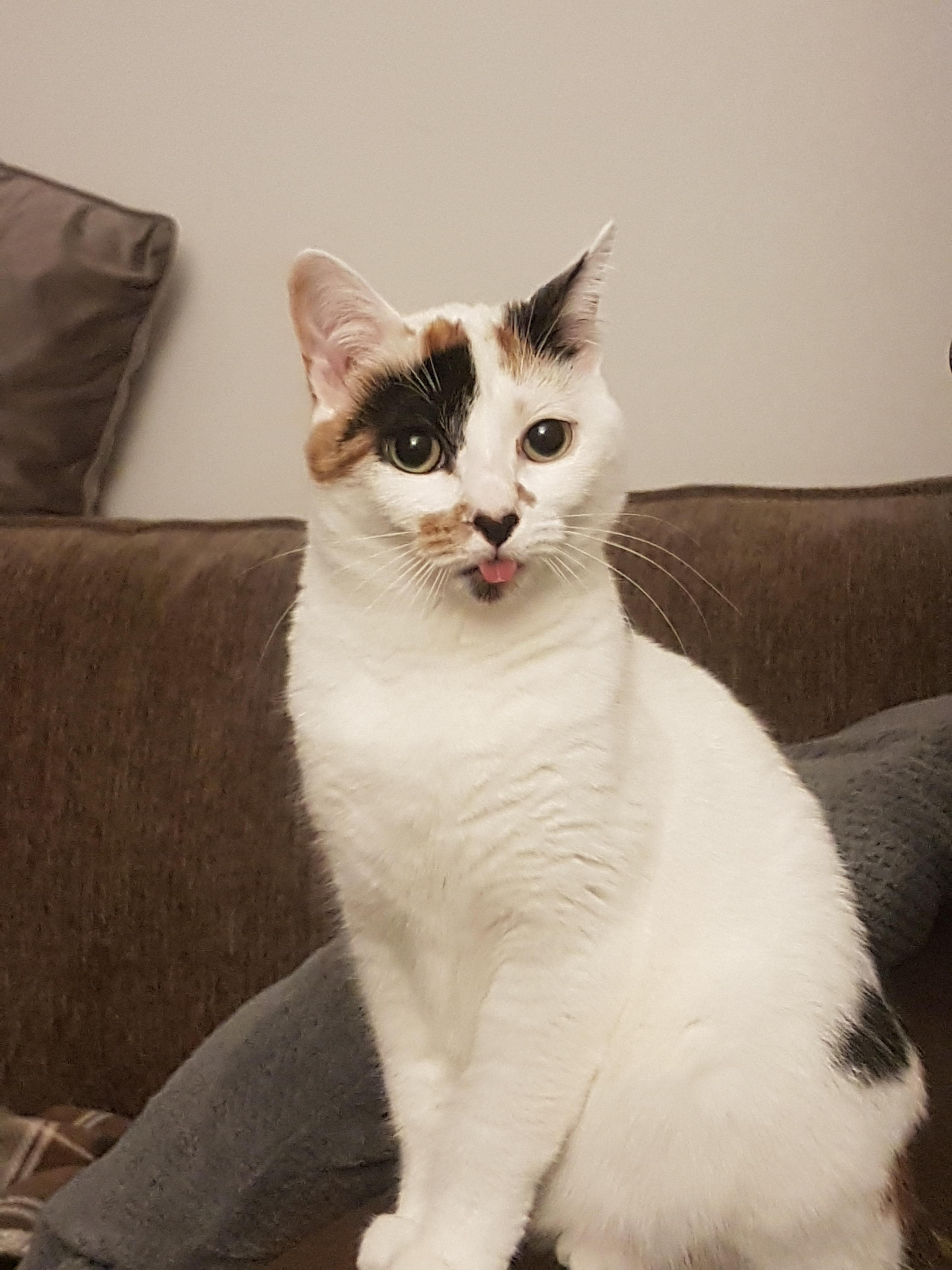 Minnie doing a surprised blep | Scrolller