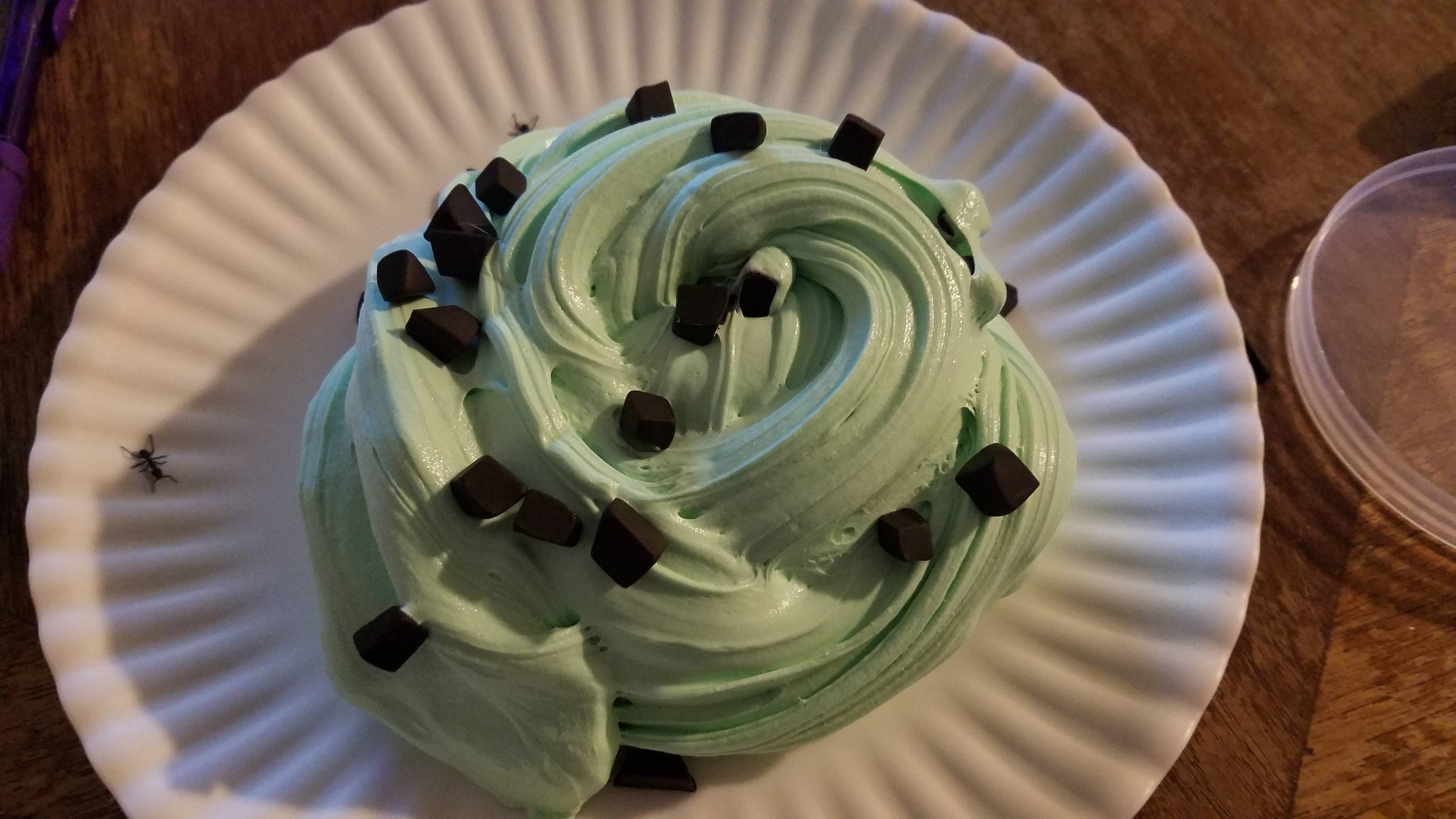 Mint chocolate chip butter slime. | Scrolller