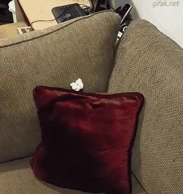 Miscalculation. | Scrolller