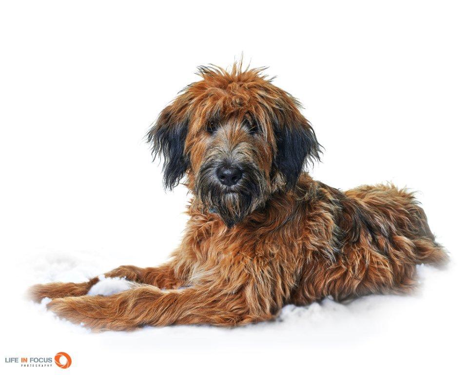 Misha gets a classy photo shoot | Scrolller