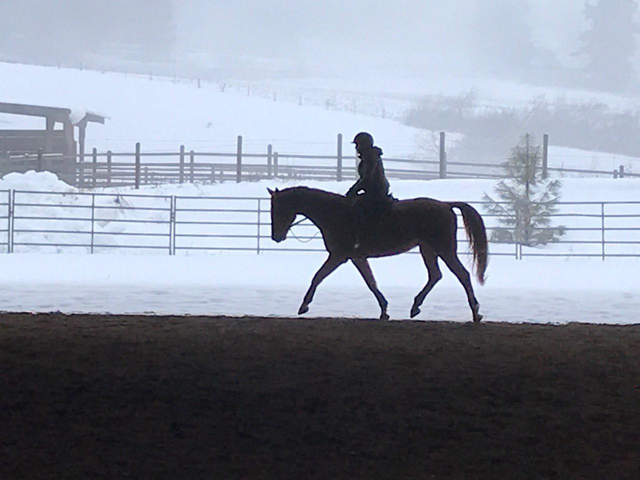 Missing summertime | Scrolller