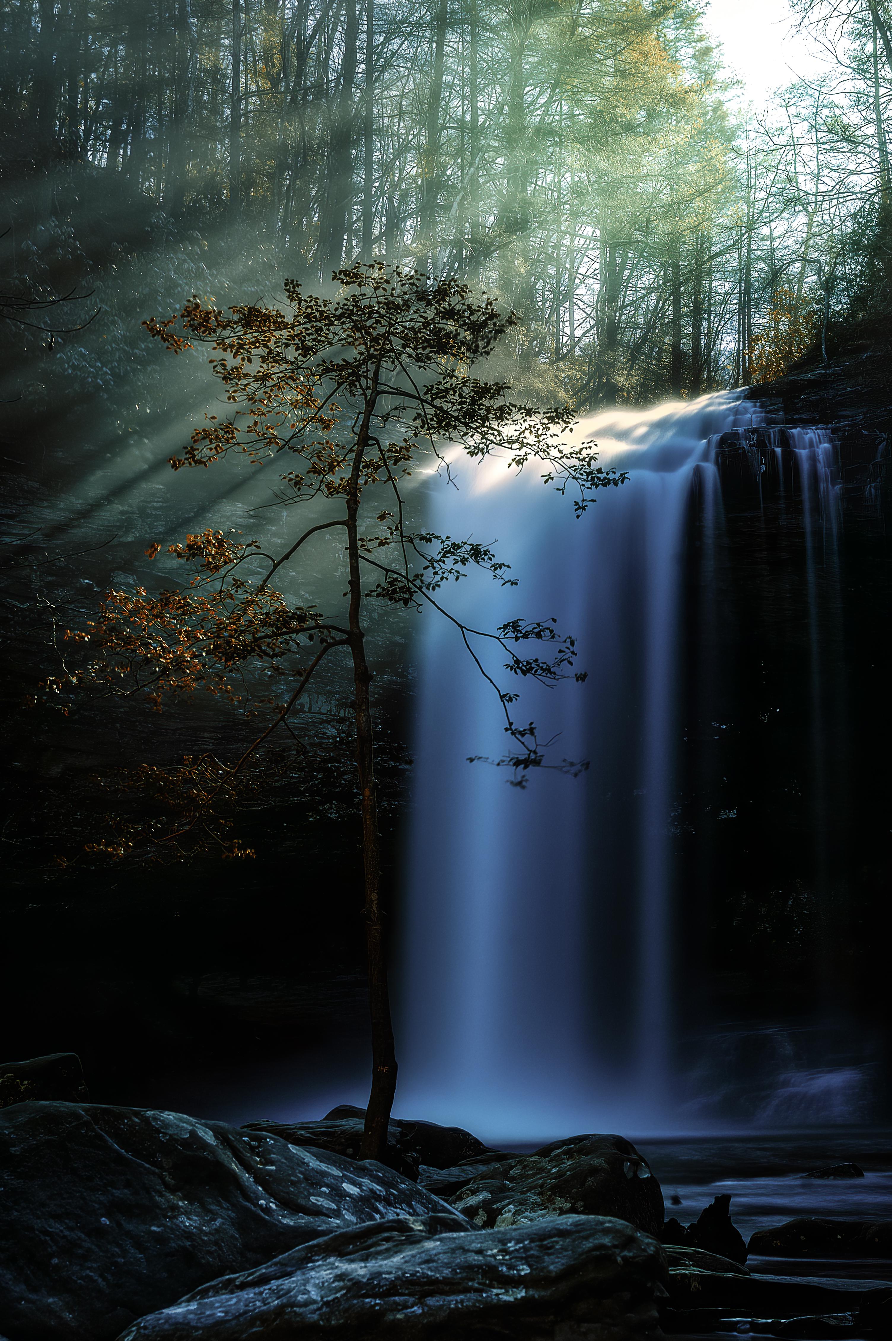 Mist catching the sun @ Cloudland Canyon State Park, GA, USA [OC] [3008 x 4521] 10 seconds ...