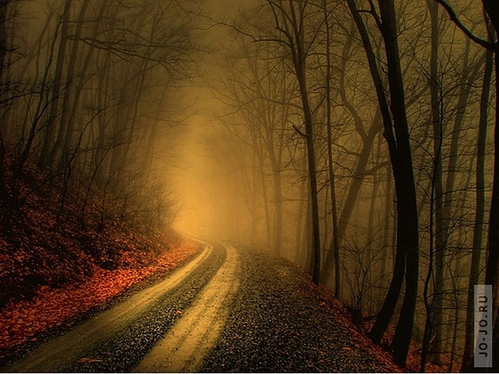 Misty Scrolller
