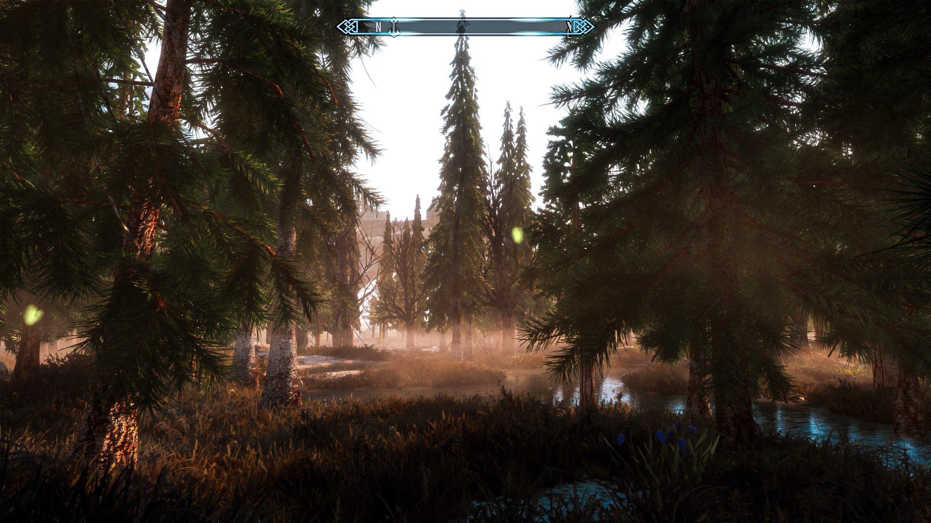 Misty Forest | Scrolller