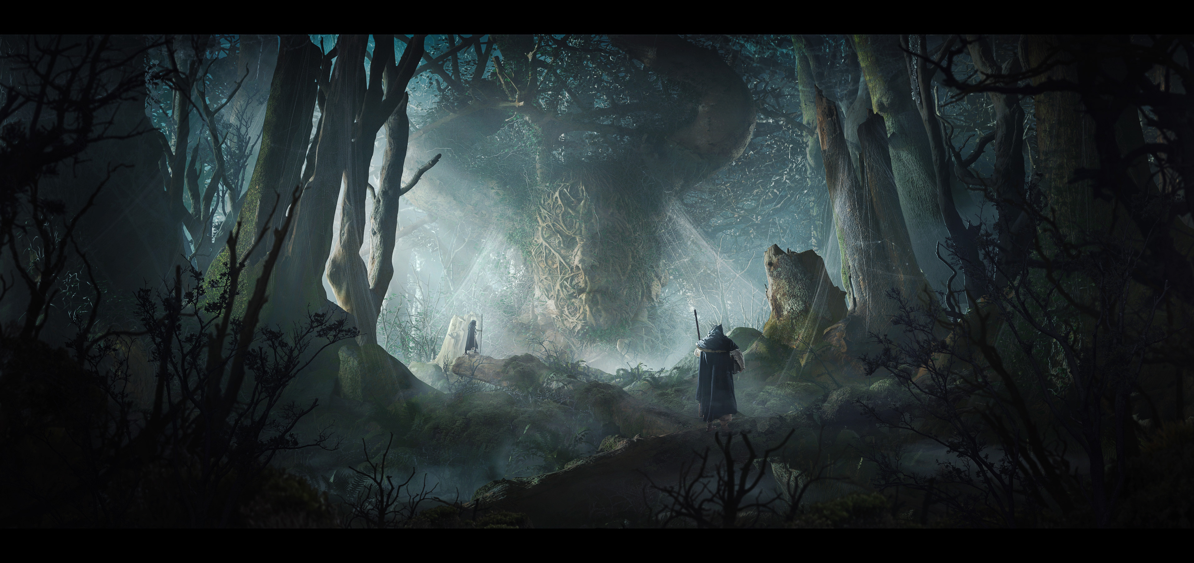 Misty Forest by Maciej Drabik | Scrolller