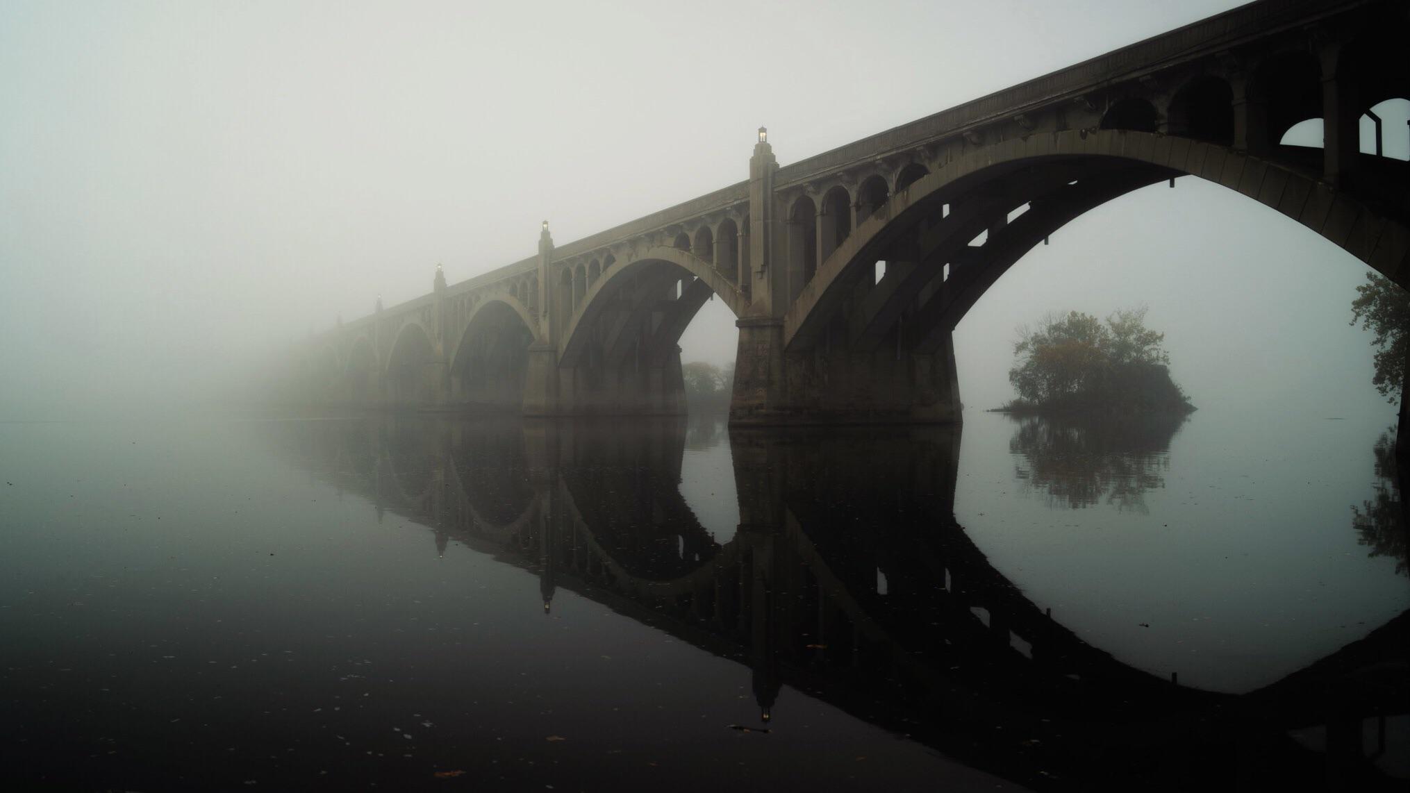 Misty Morning Scrolller