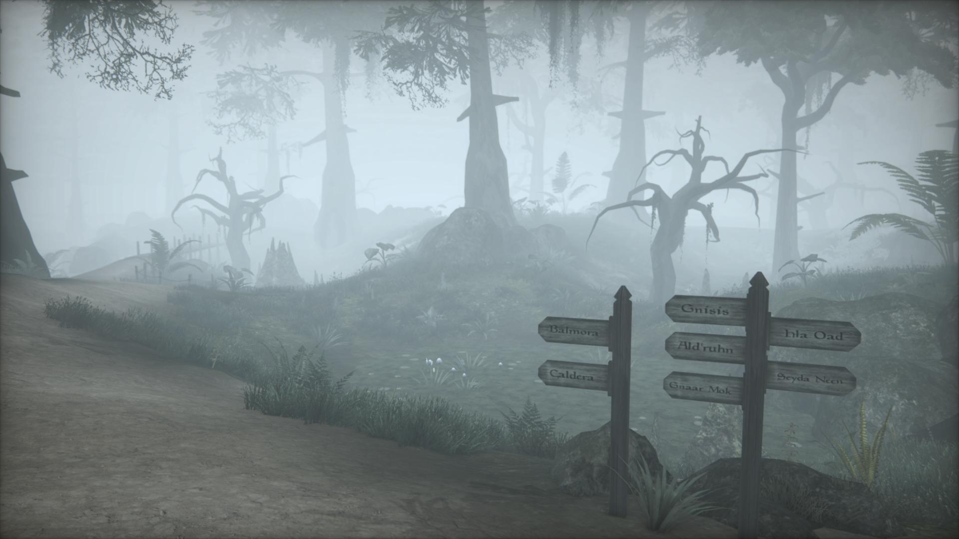 Misty Roads | Scrolller