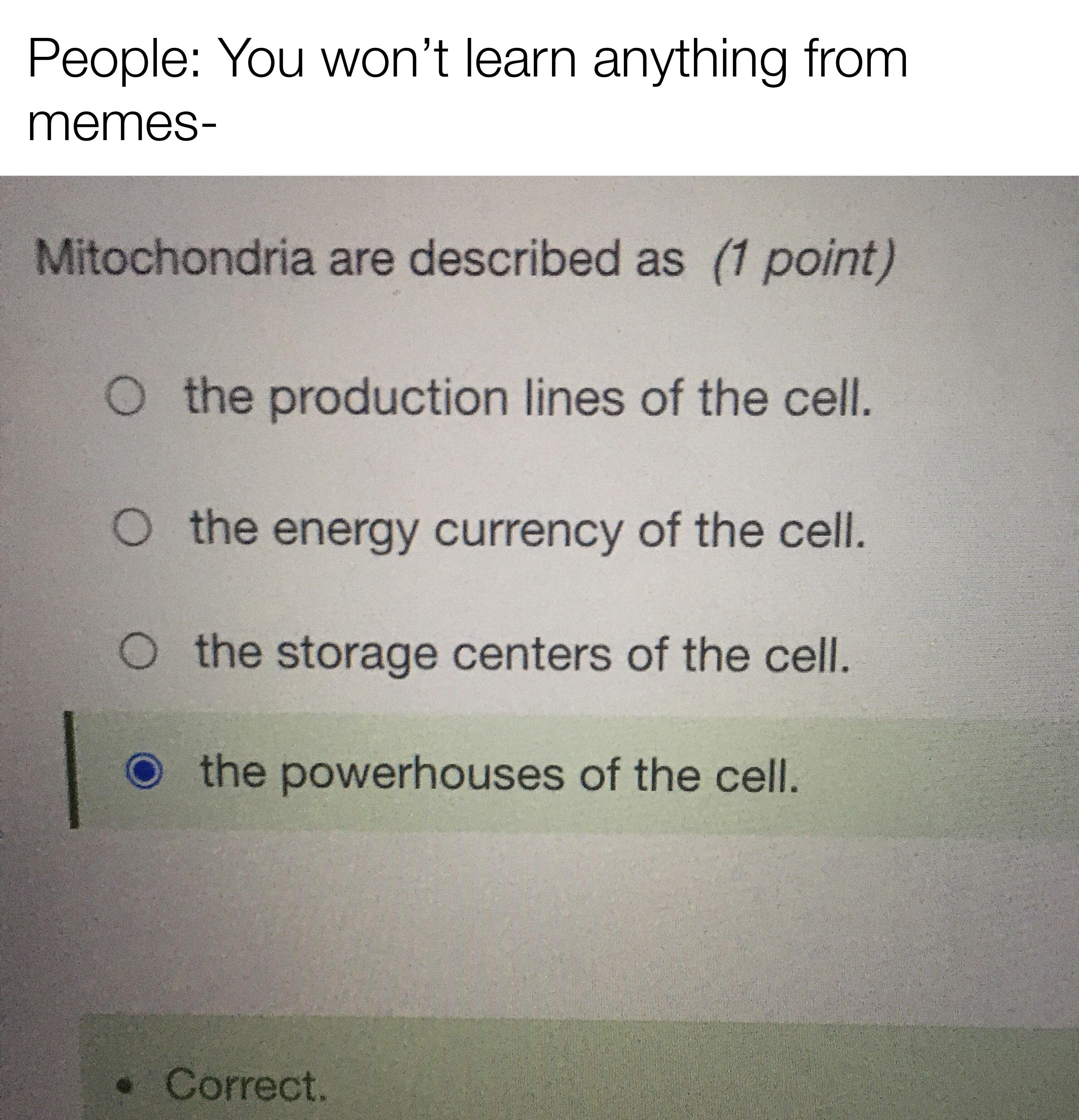 MITOCHONDRIA IS THE POWERHOUSE OF THE CELL | Scrolller