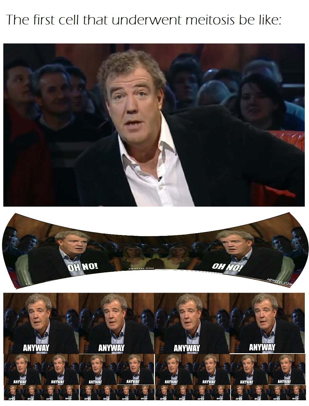 Mitosis meme | Scrolller