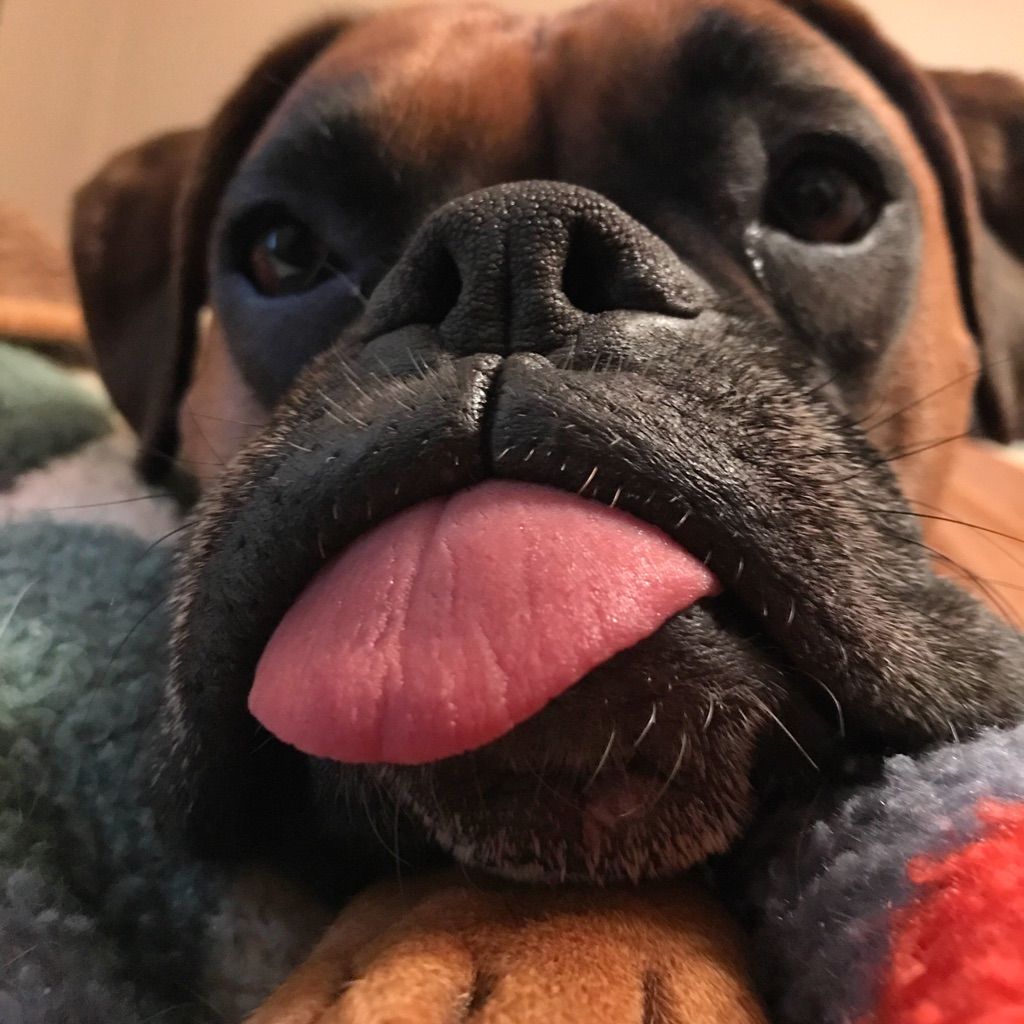 Molly Scrolller