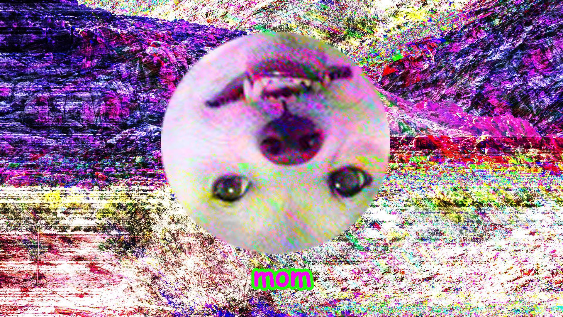 mom (x-post from /r/fifthworldshibe) | Scrolller