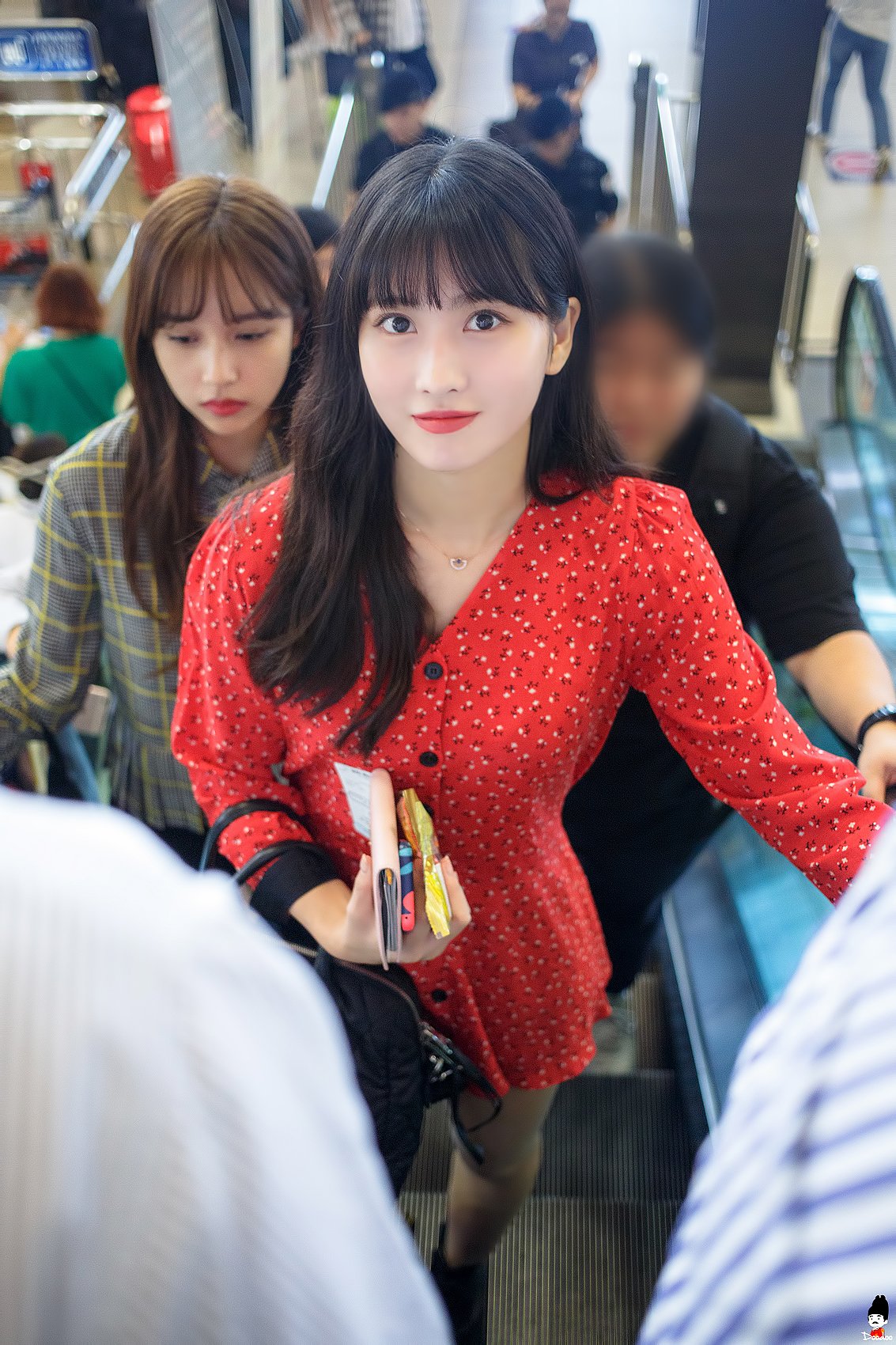 Momo ft. Mina | Scrolller