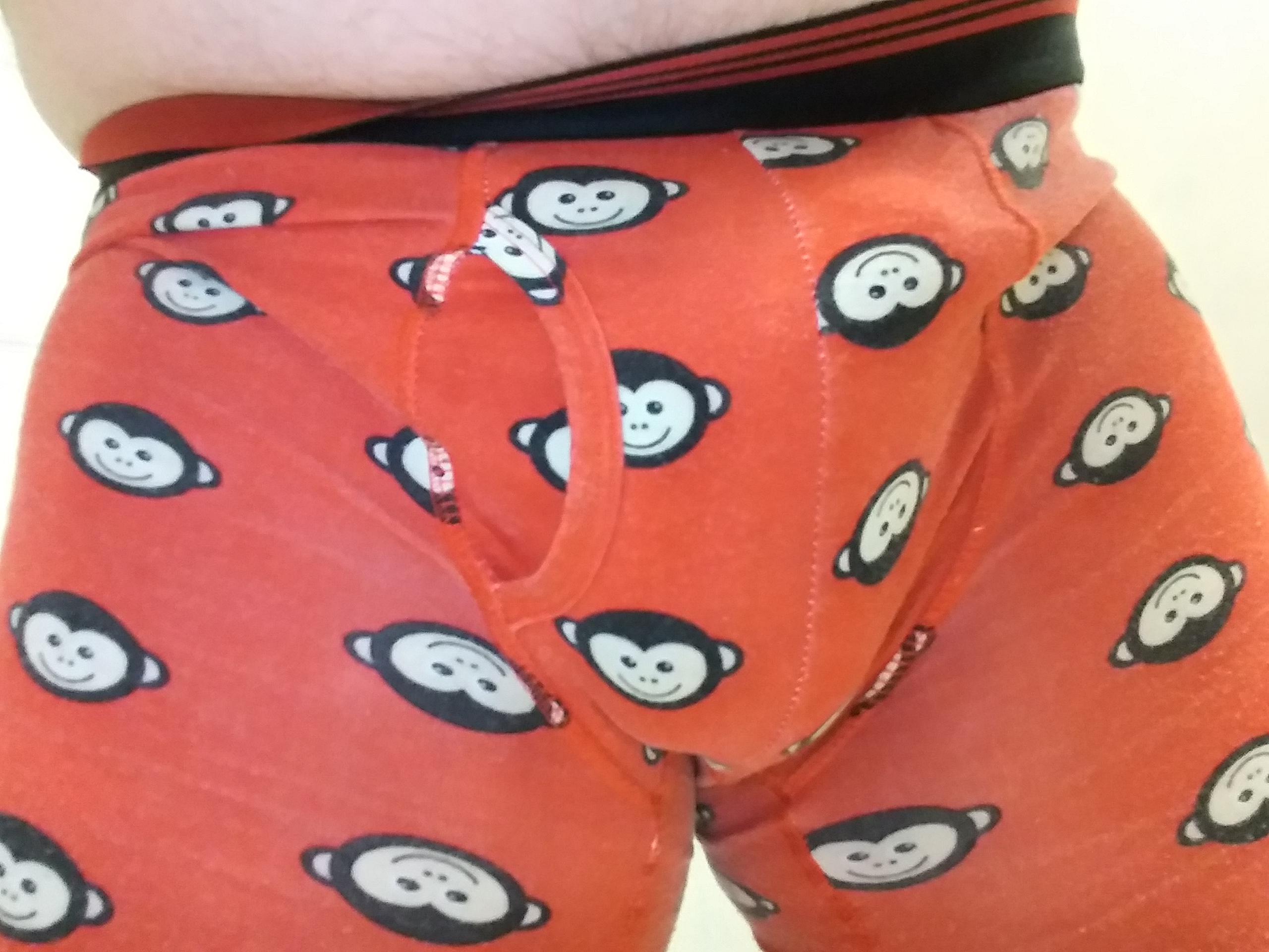 Monday monkeys | Scrolller