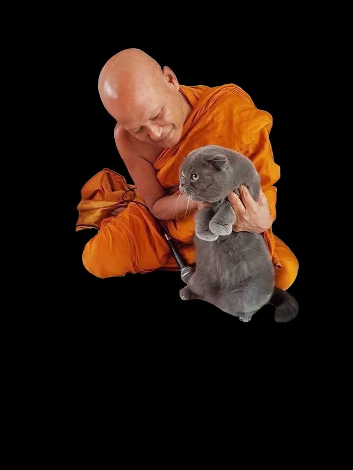 Monk and a Cat | Scrolller