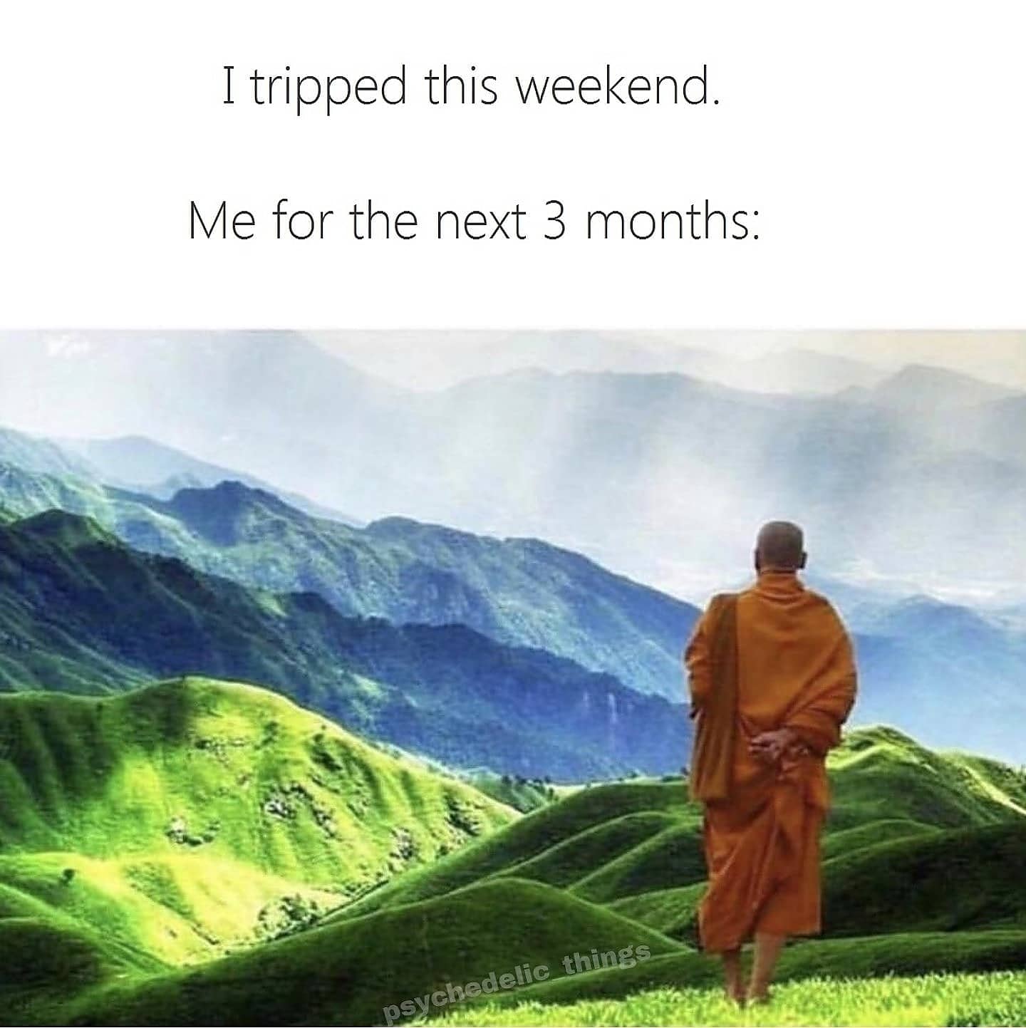 Monk Mode: Activated | Scrolller