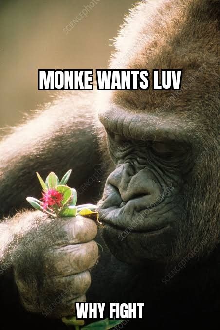 monke always works | Scrolller