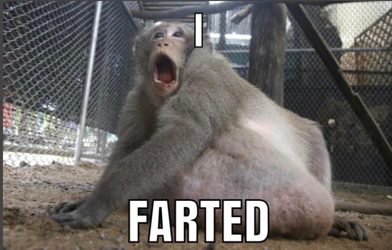 Monkey fart monkey smell | Scrolller