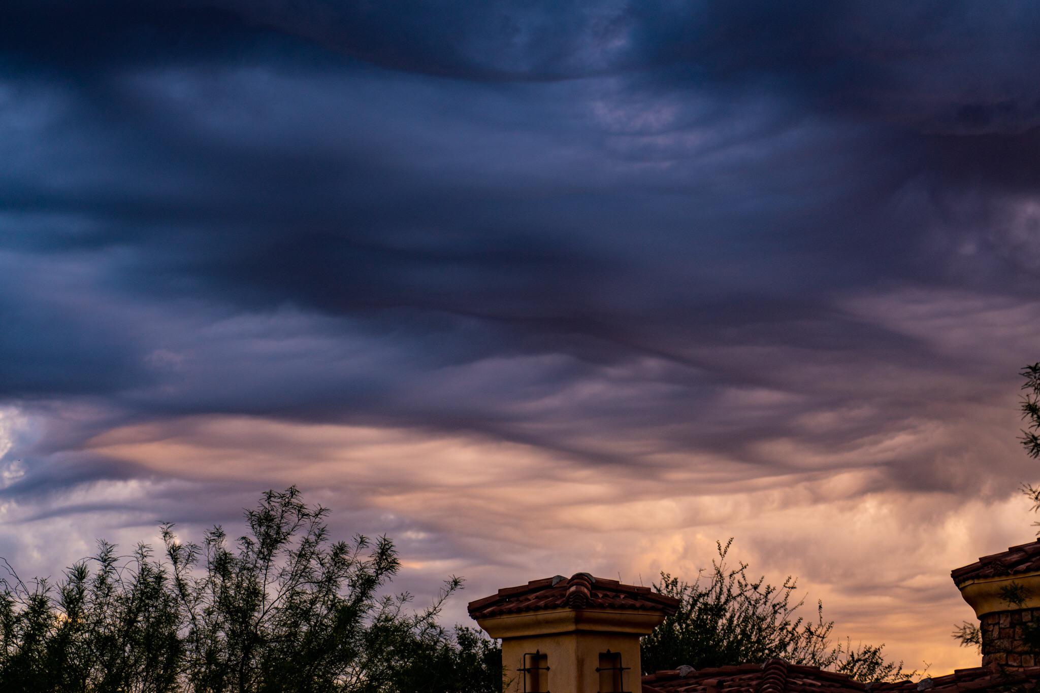 Monsoon Season (OC) | Scrolller