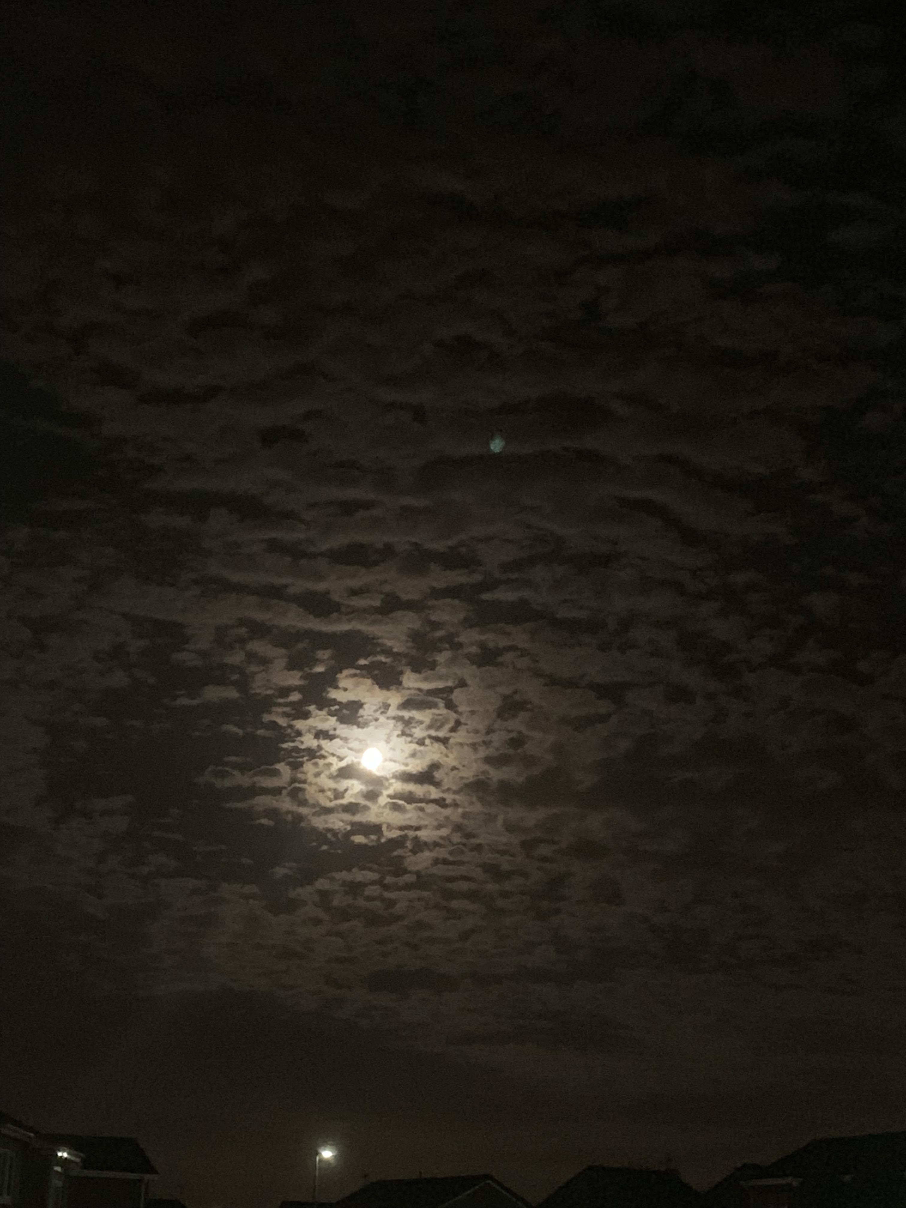 Moonlight | Scrolller