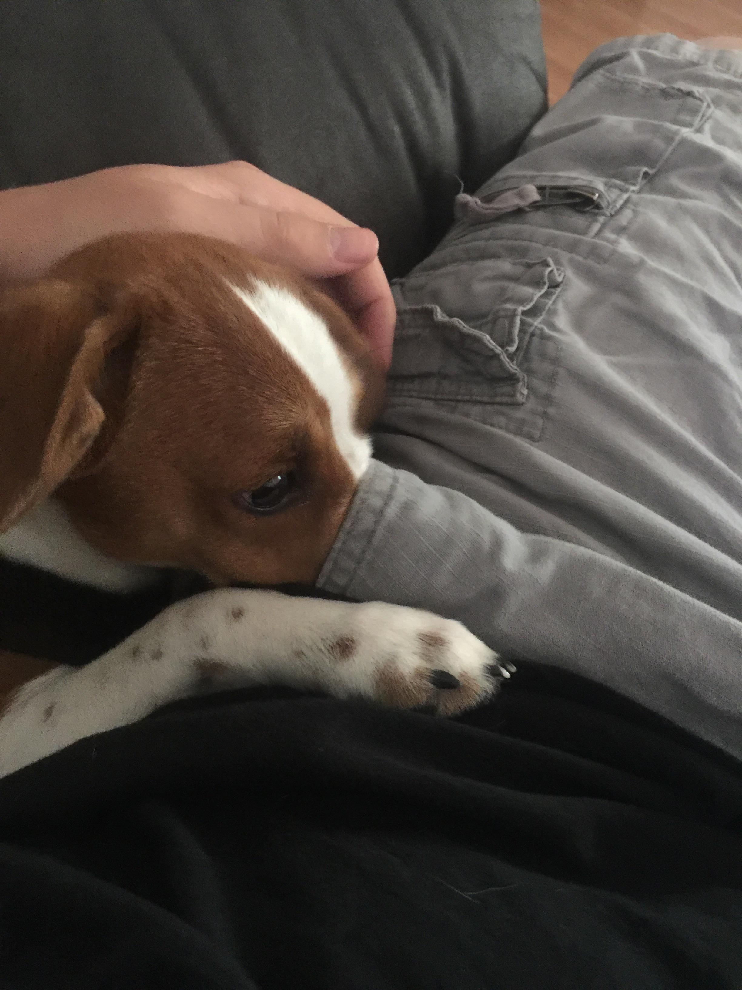 More Arlo | Scrolller