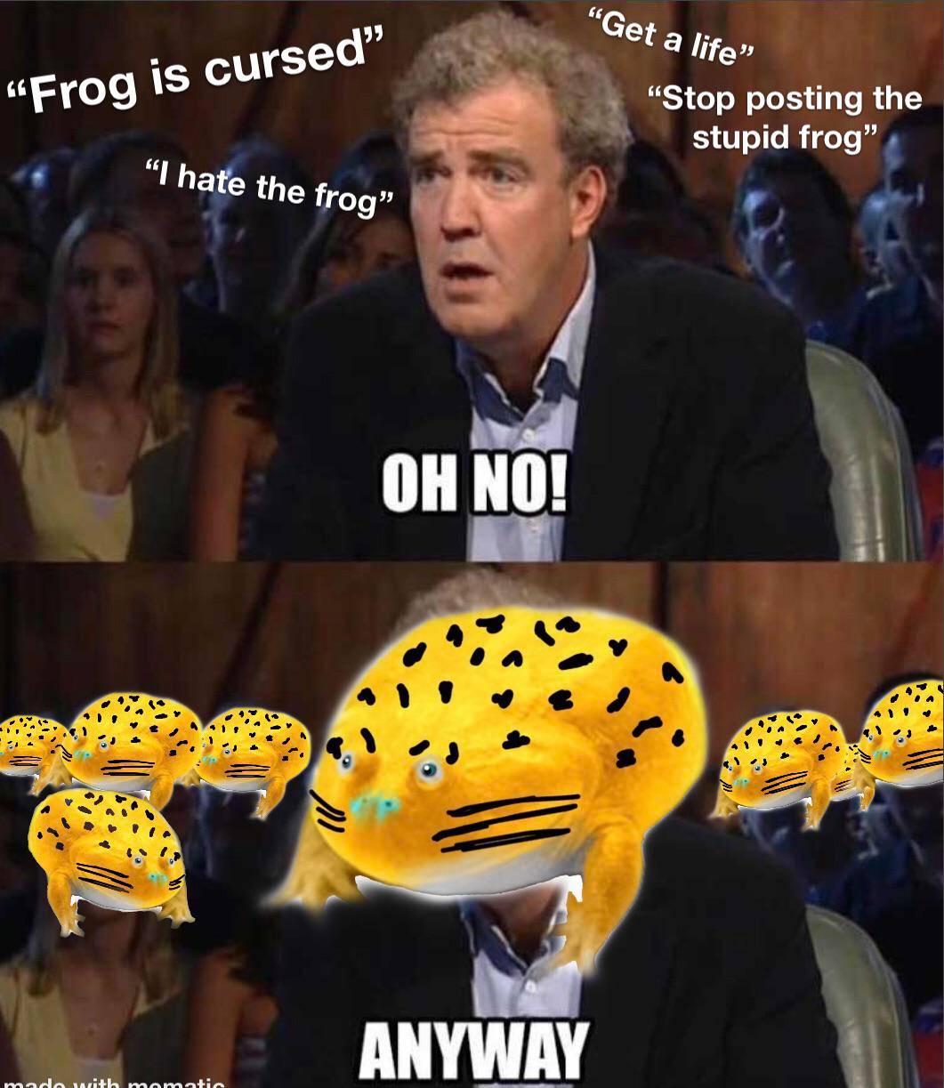 More frog | Scrolller