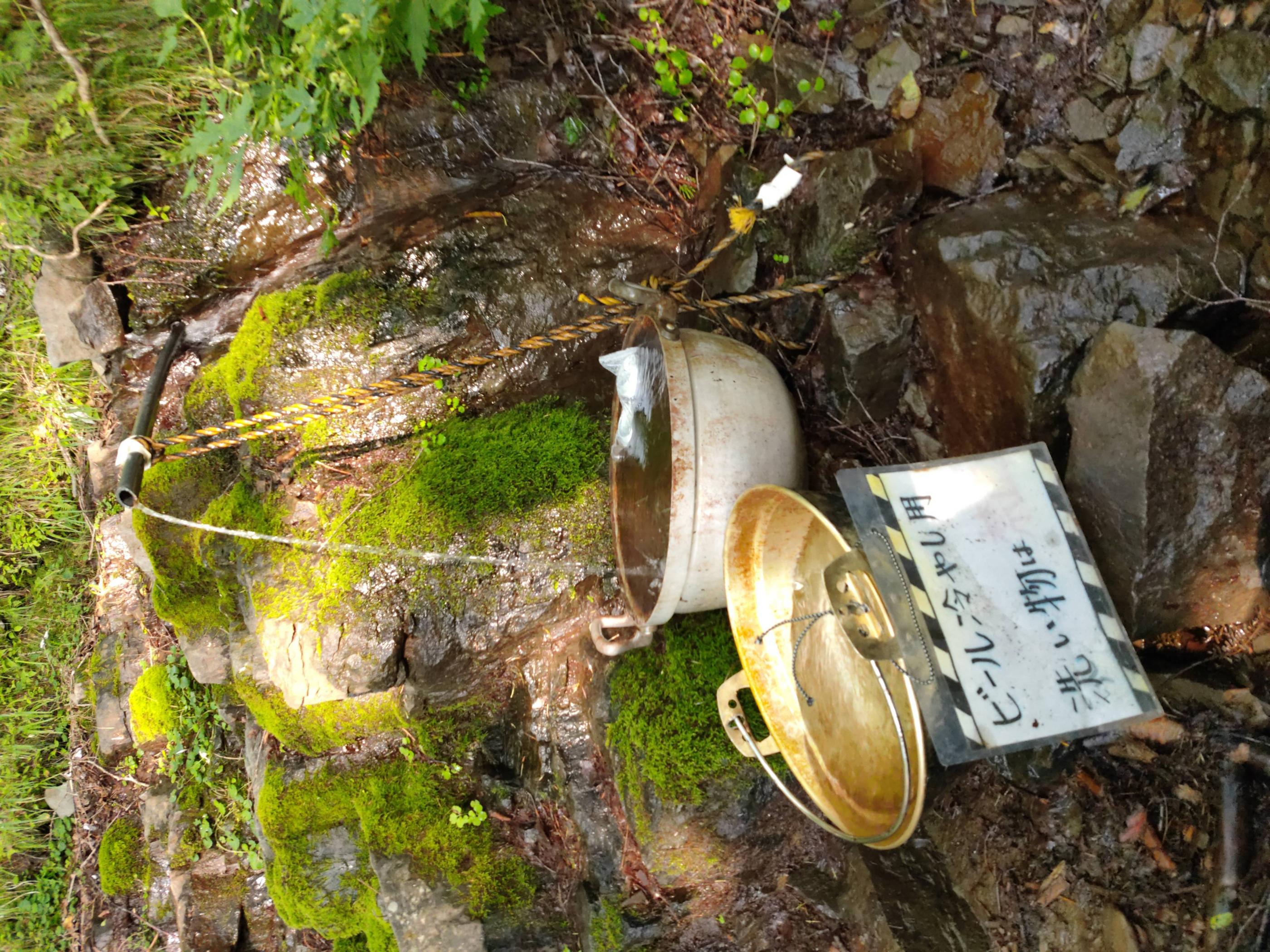 More moss from Mt. Mizugaki | Scrolller