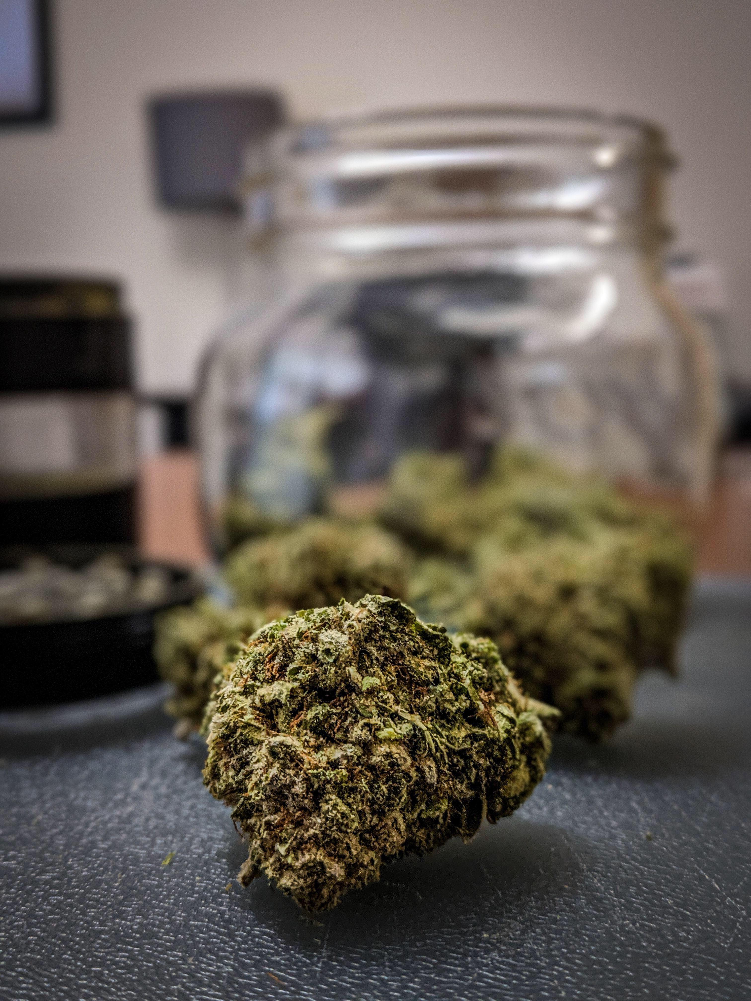 Morning buds. | Scrolller