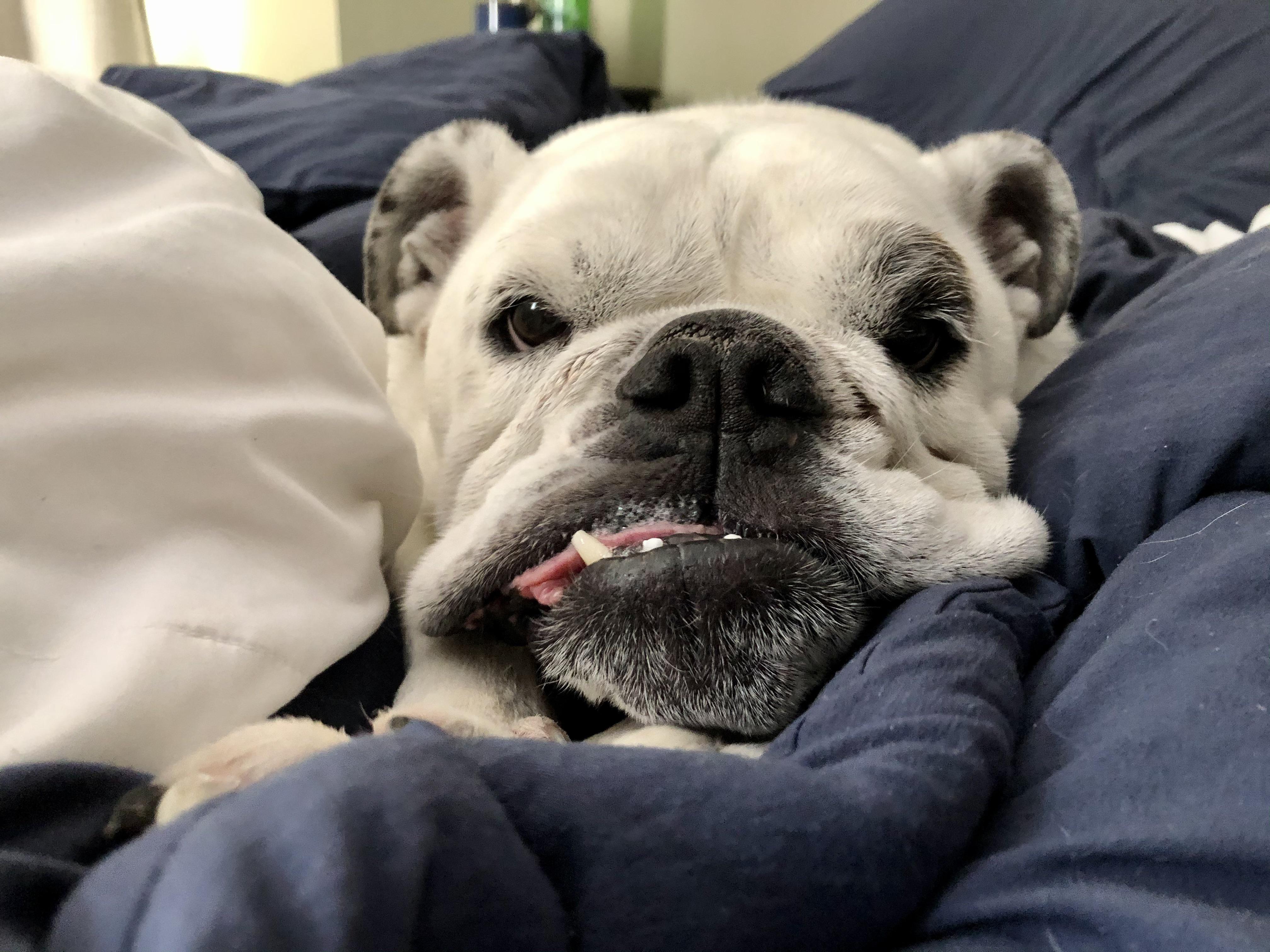 Morning derp face. | Scrolller