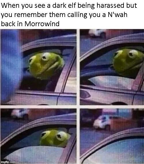 *Morrowind flashbacks intensifies* | Scrolller