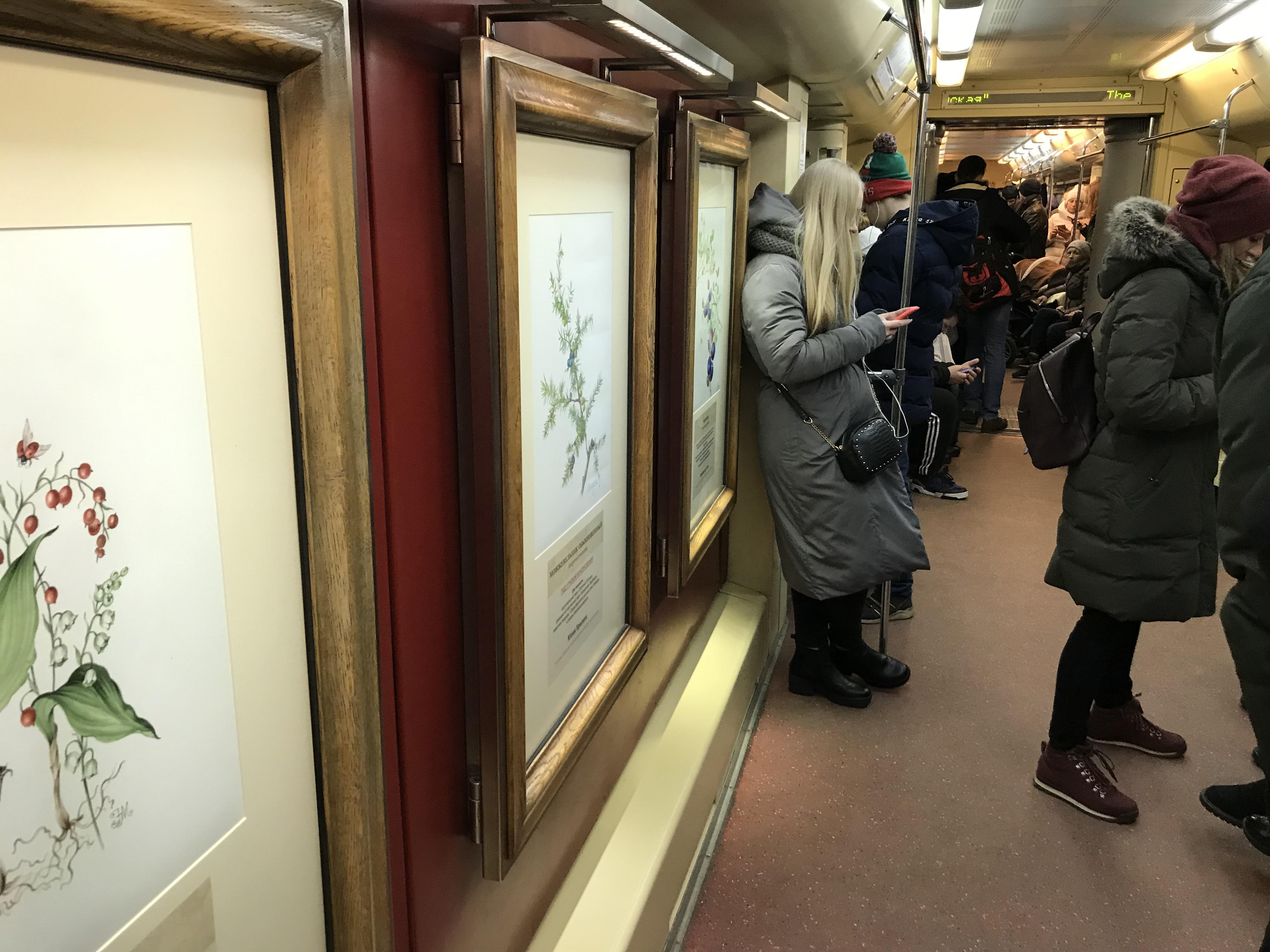 Moscow metro | Scrolller
