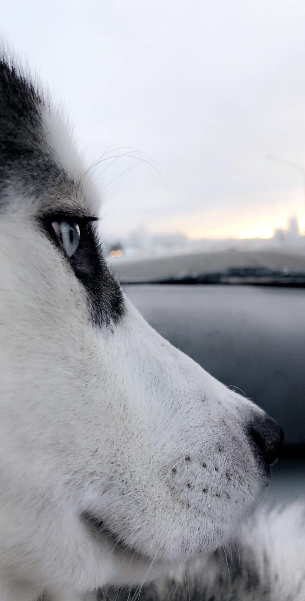 Most Alaskan picture I have | Scrolller