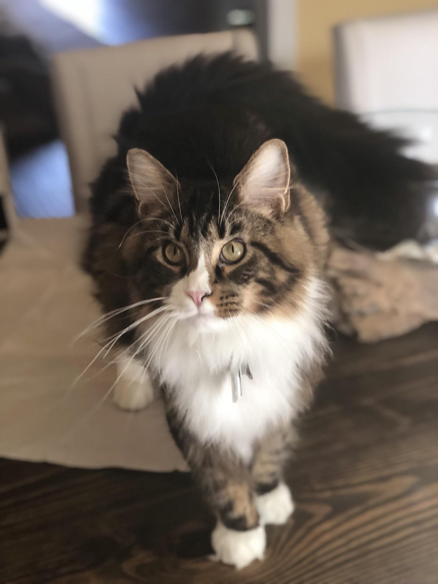 Most handsome boy | Scrolller