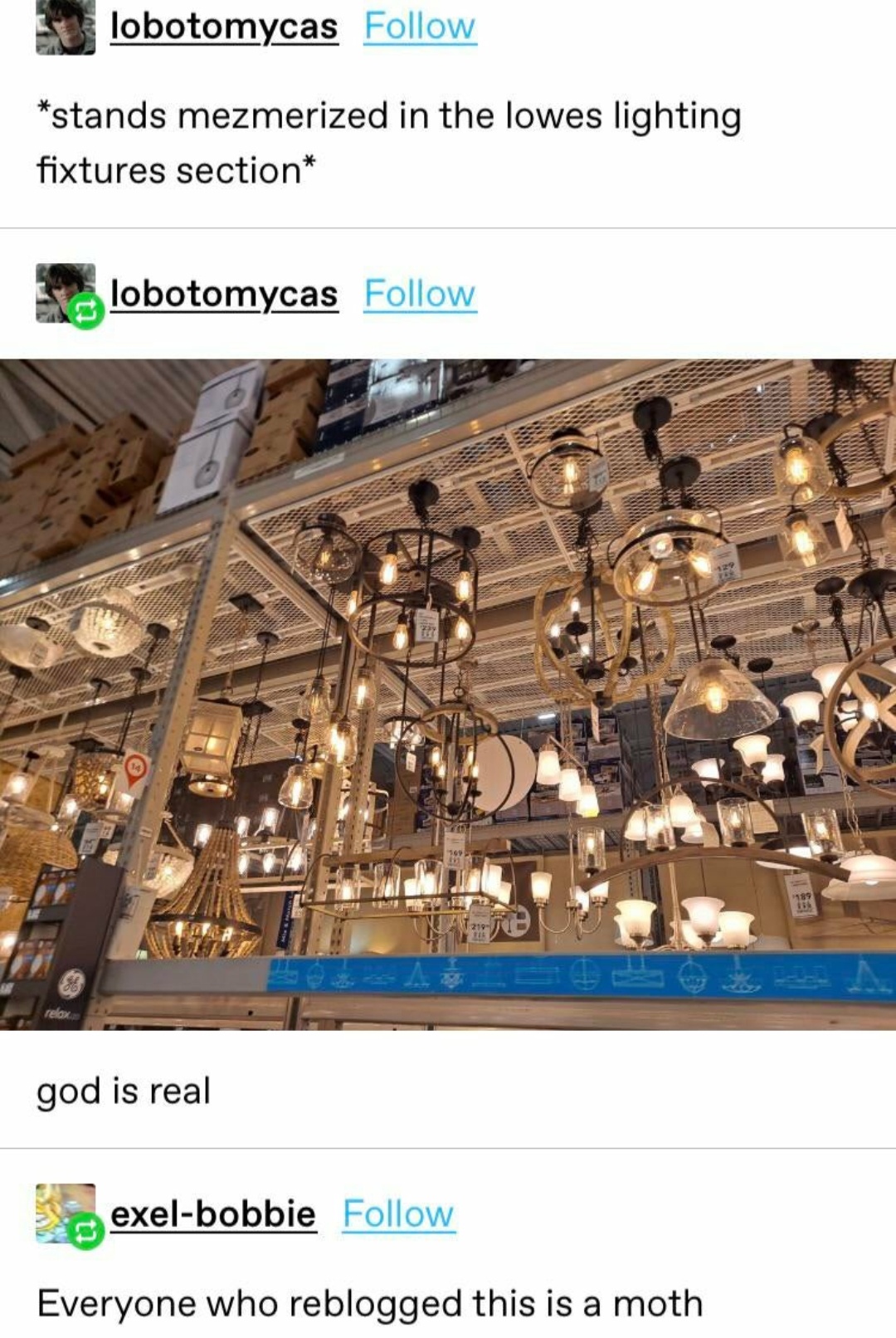 Moth rule | Scrolller