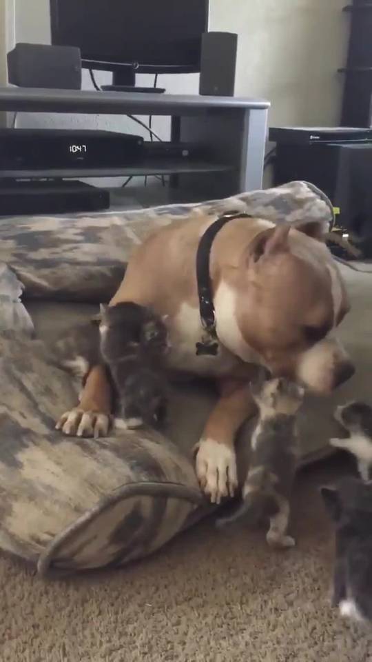 Mothers come in all shapes and sizes. | Scrolller