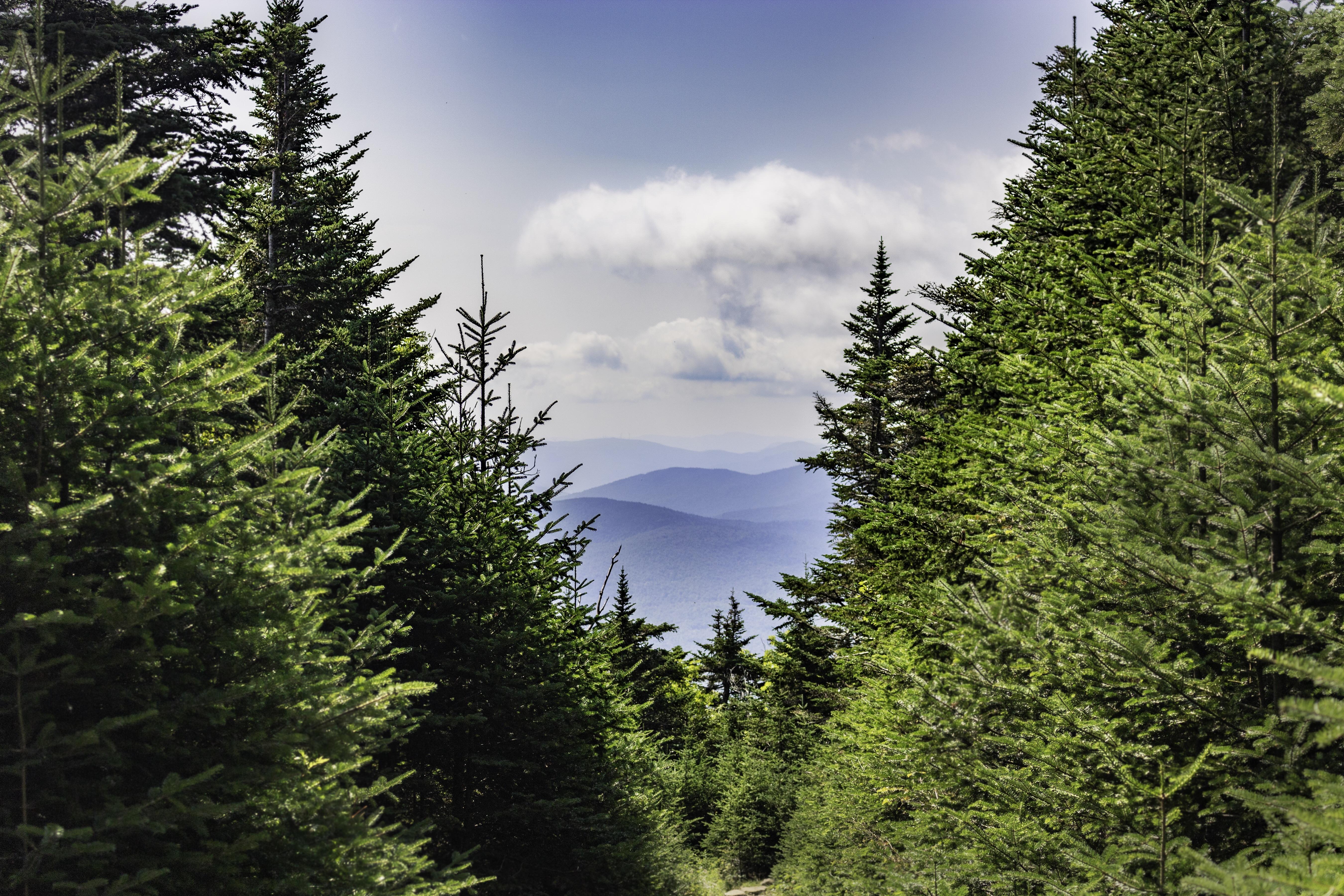 Mount Moosilauke, NH | Scrolller