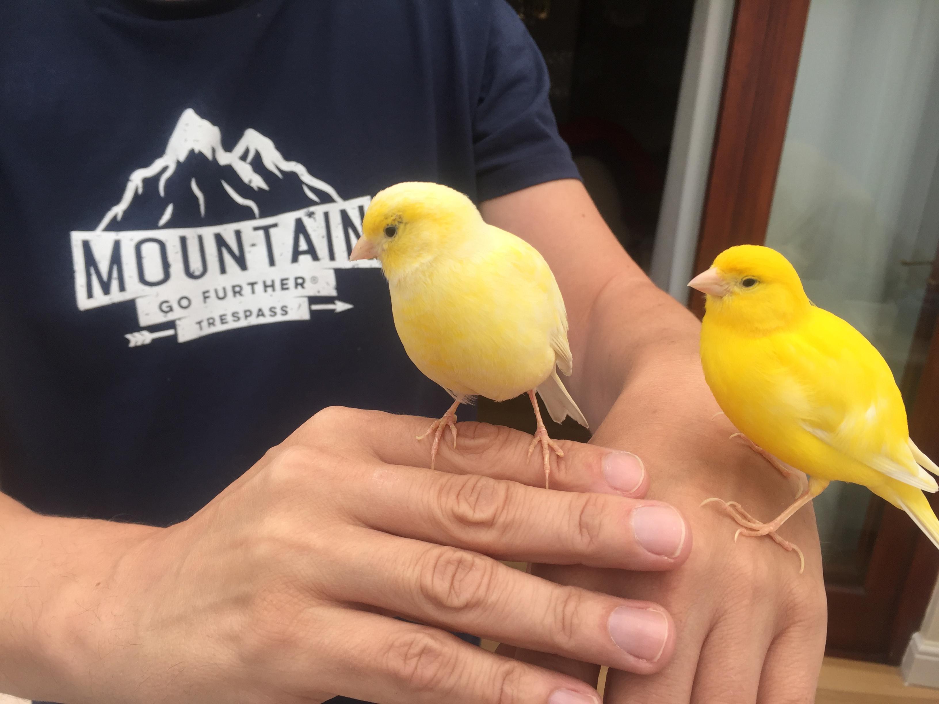 Mountain Climbing! | Scrolller