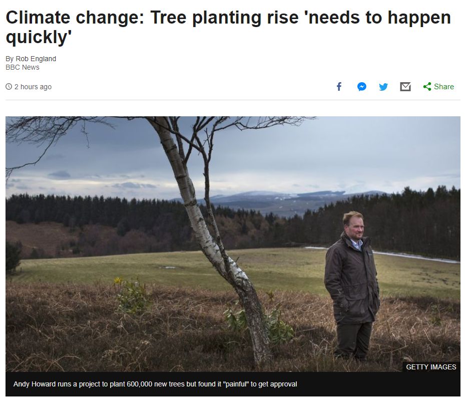 MR BEAST GET ON AND PLANT THOSE TREES | Scrolller